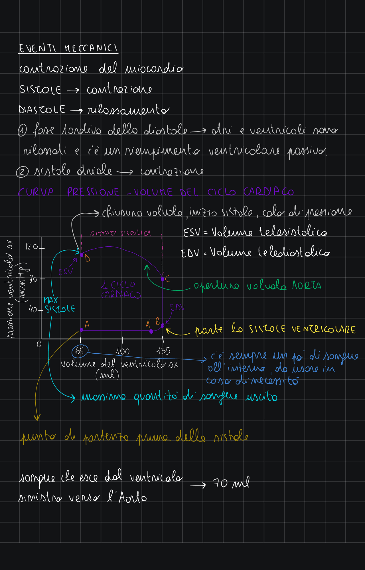 Fisiologia Dello Sport Parte 3 Appunti Di Fisiologia Docsity