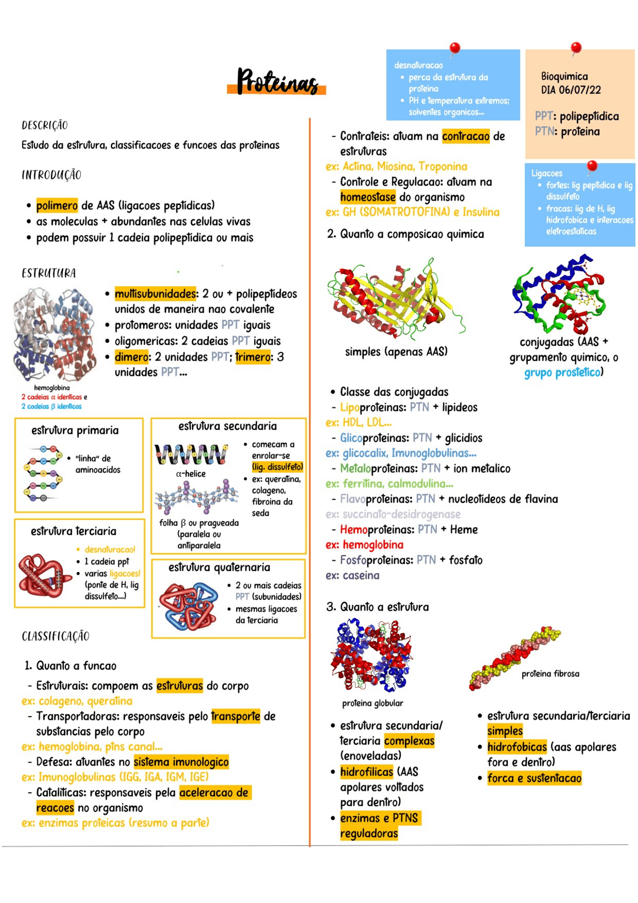Resumo de Proteinas (bioquímica) | Esquemas Bioquímica | Docsity