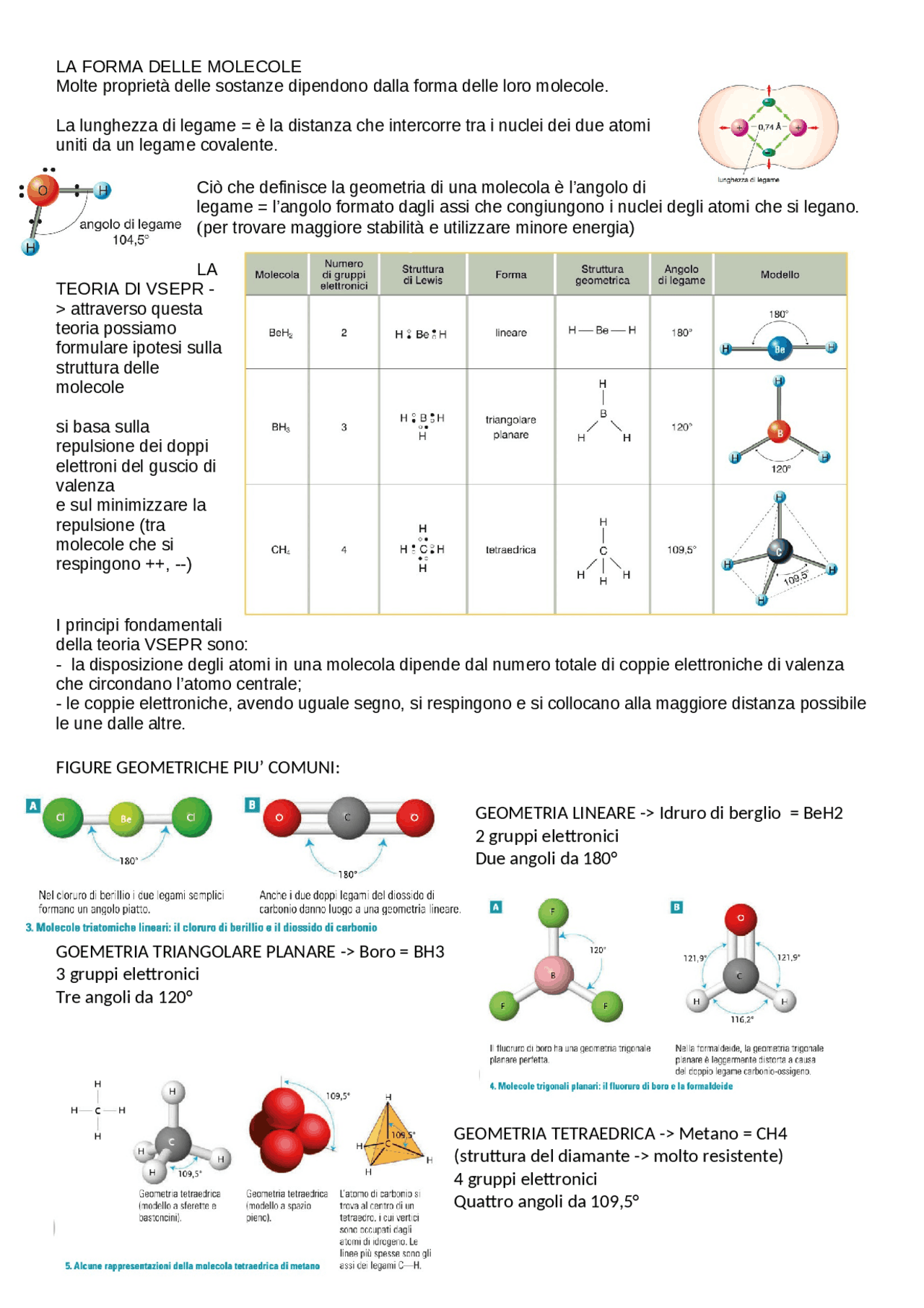La forma delle molecole | Appunti di Chimica | Docsity