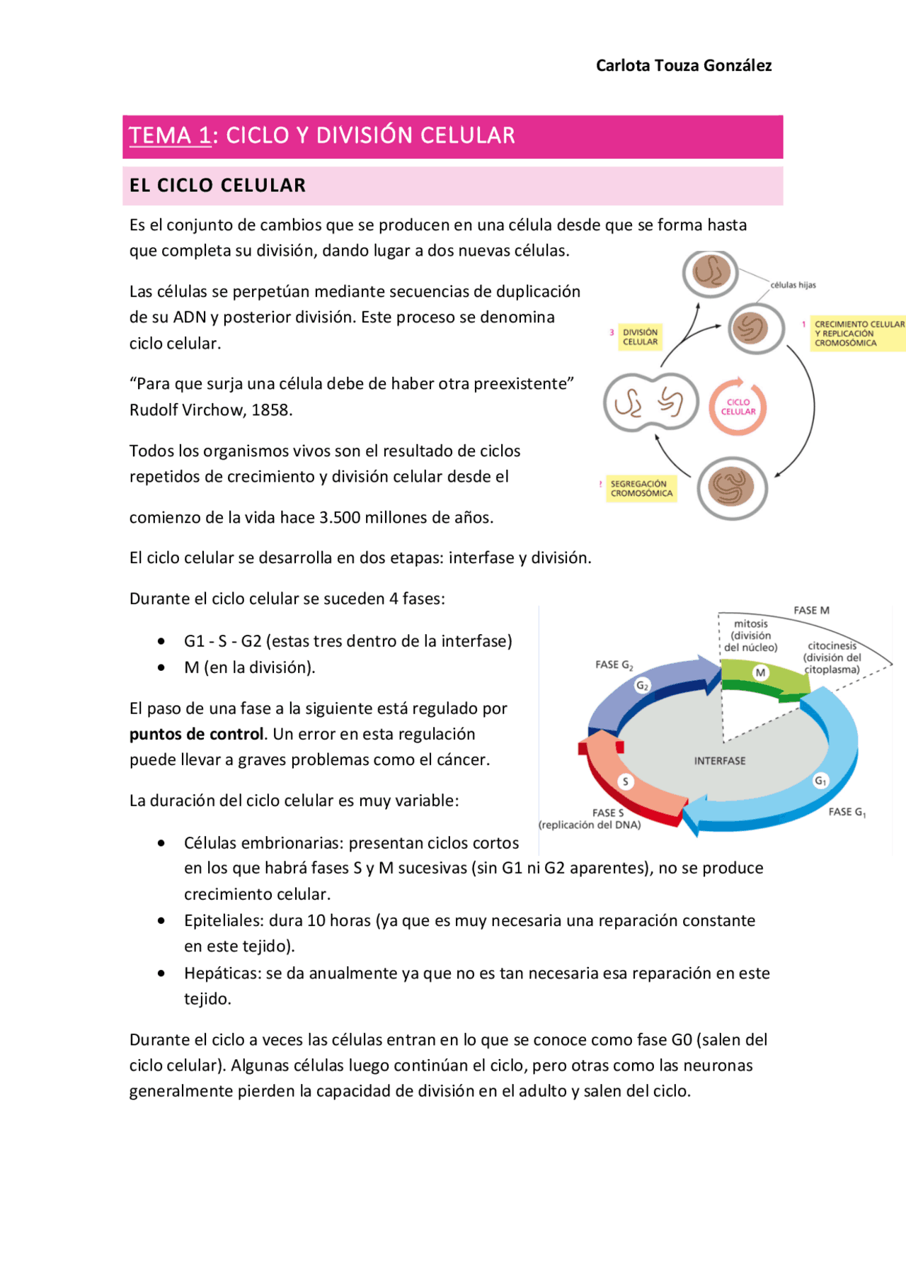 Apuntes Bio 1º Enfermería Apuntes De Biología Humana Docsity