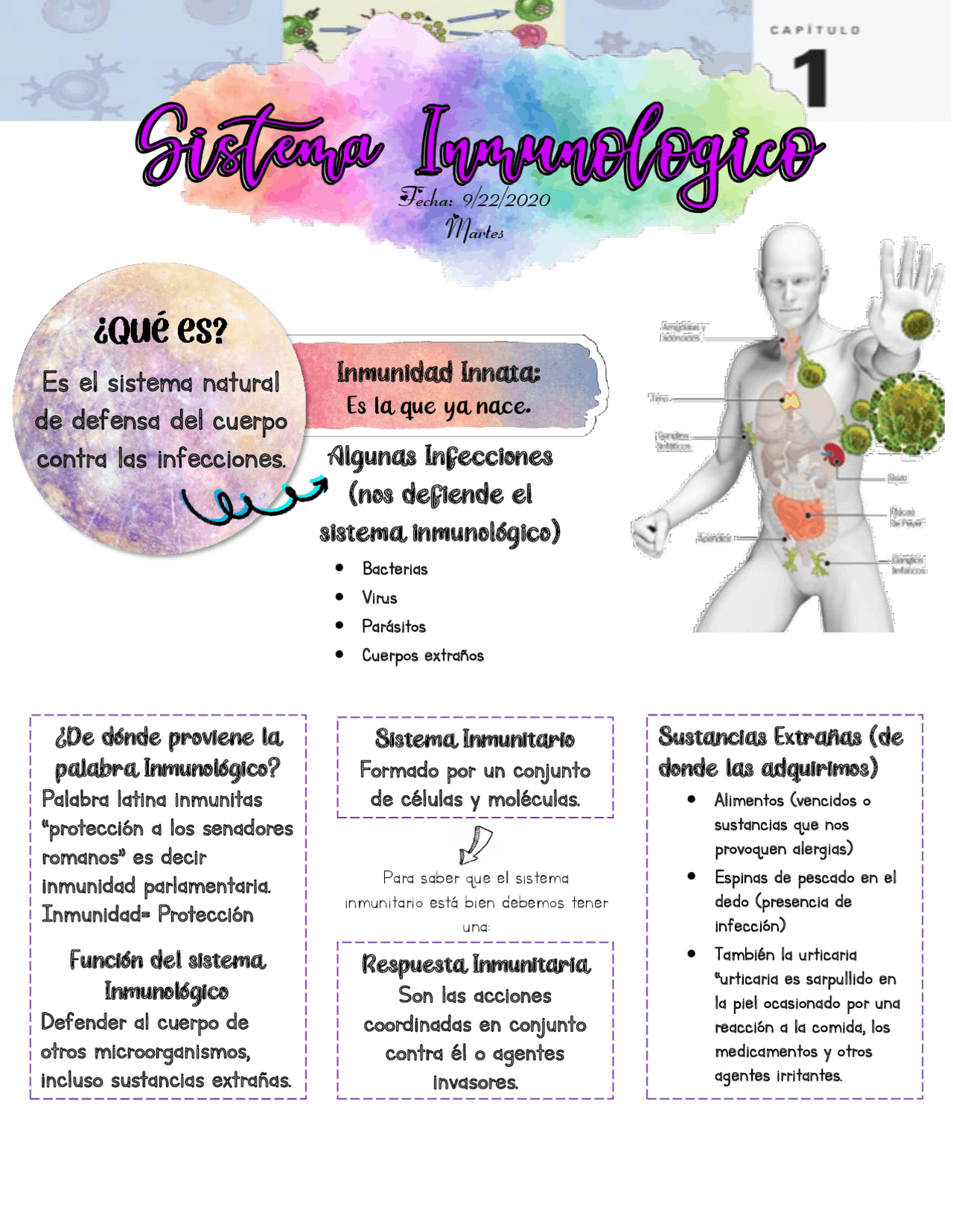 Sistema Inmunologico Apuntes Esquemas Y Mapas Conceptuales De