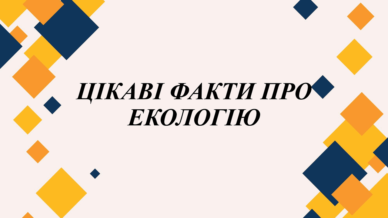 Факти про екологію Презентации Менеджмент Docsity