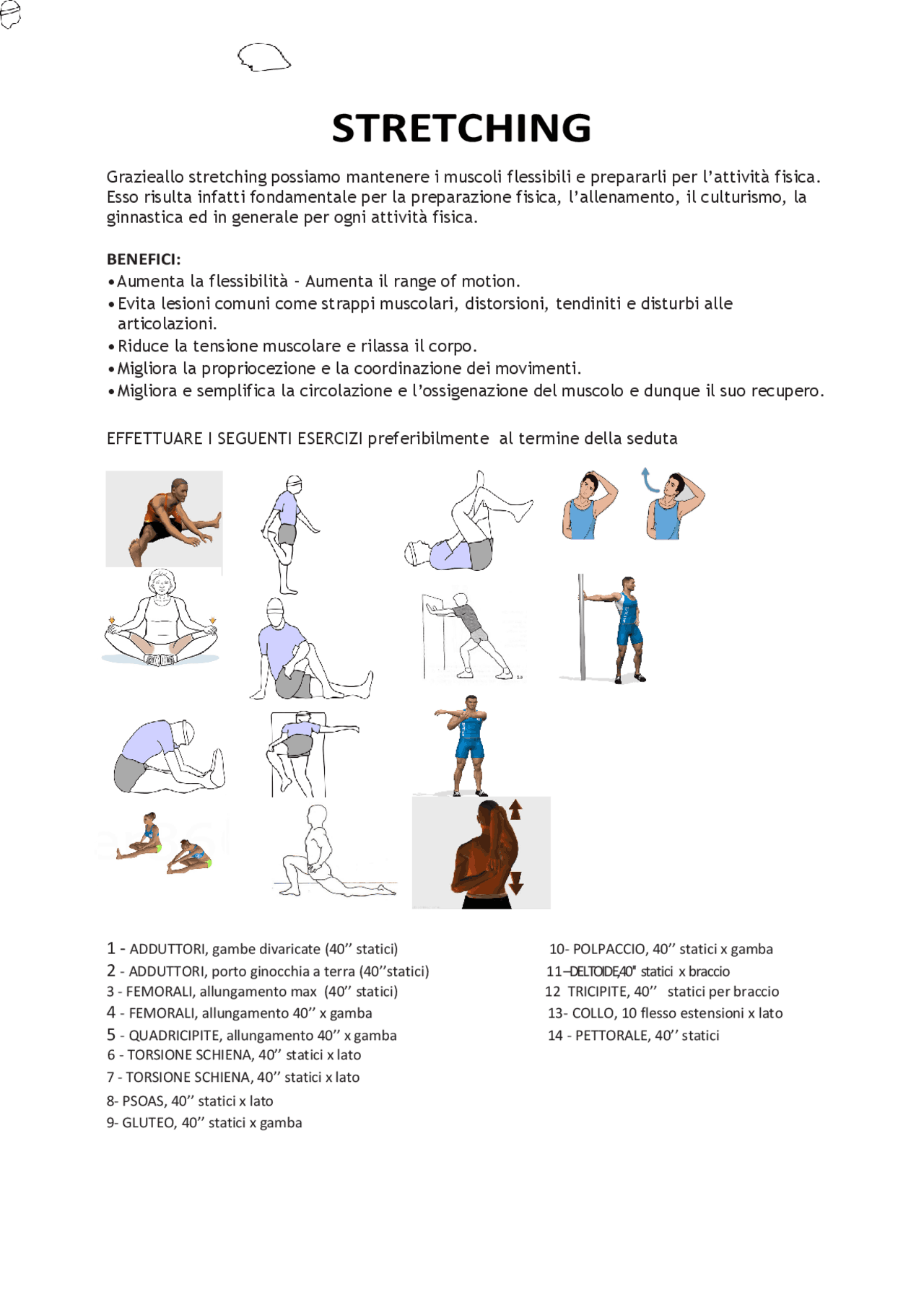 Stretching total body | Schemi e mappe concettuali di Educazione fisica | Docsity