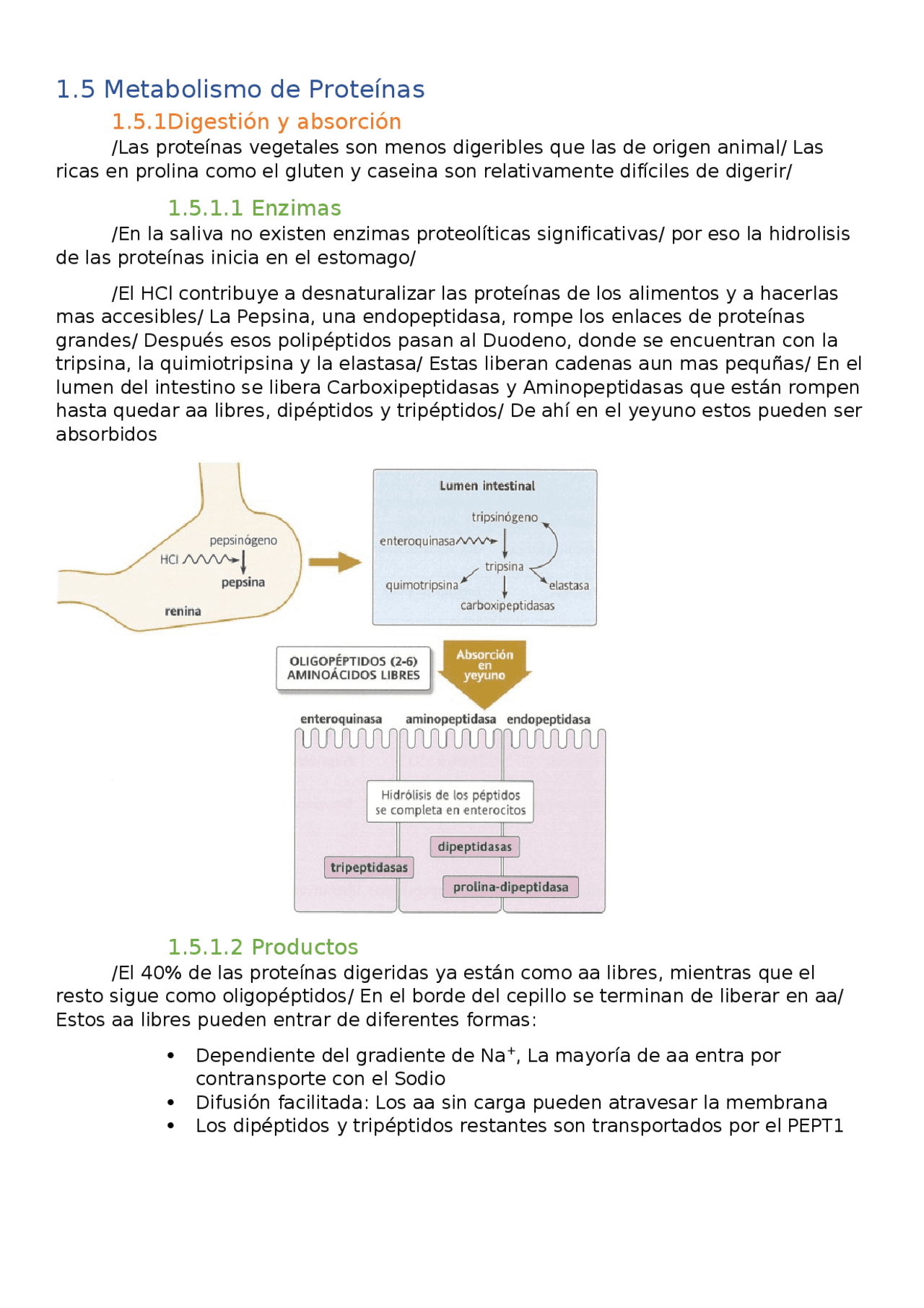 Resumen de Proteinas y metabolismo | Esquemas y mapas conceptuales de Bioquímica | Docsity