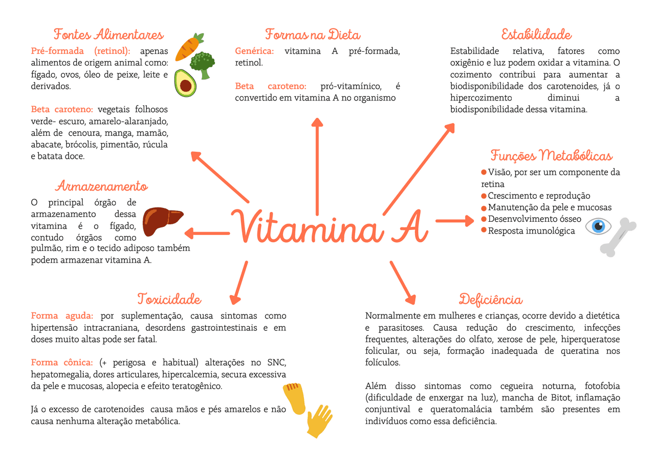 Vitamina A, fontes, formas na dieta, função e mais | Esquemas Nutrição ...