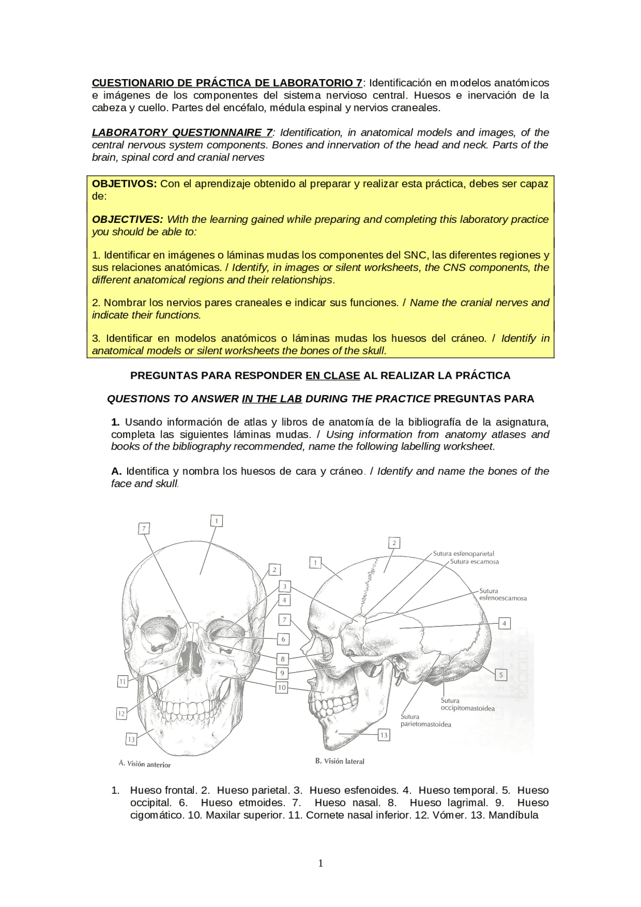Pl 7 Cuestionario Anatomía Ejercicios De Anatomía Docsity