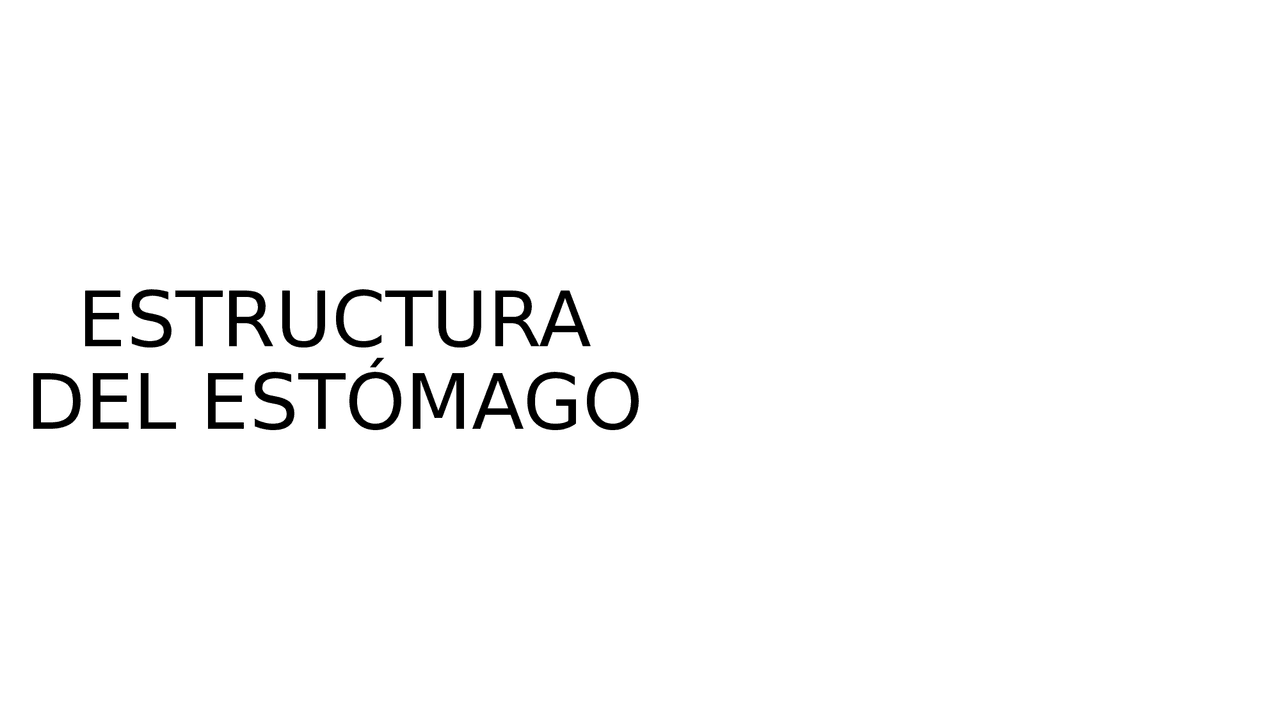 Estructura Anatómica del Estómago: Cardias, Fondo, Cuerpo y Píloro ...