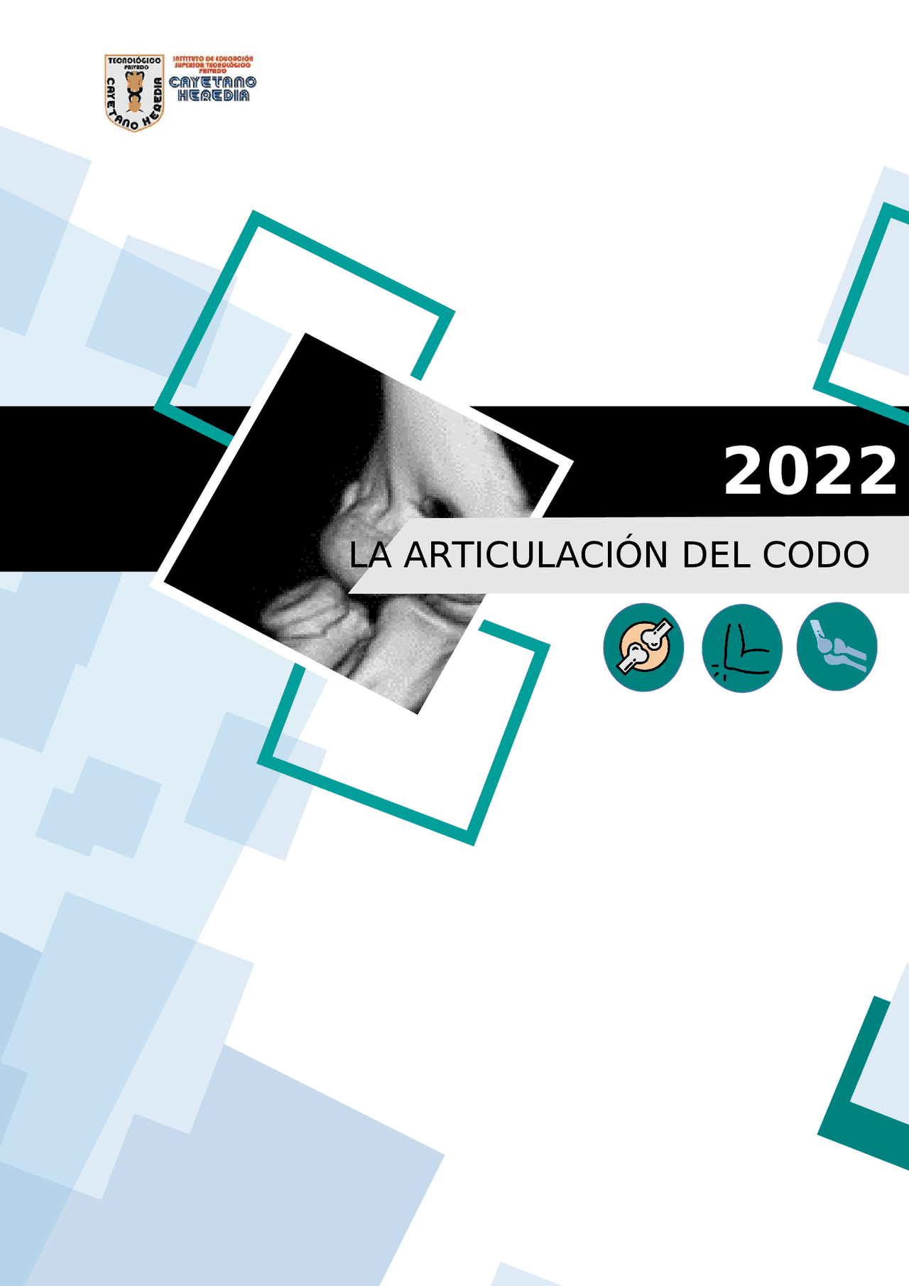 Anatomia Del Codo Resumenes Resúmenes De Anatomía Aplicada Docsity