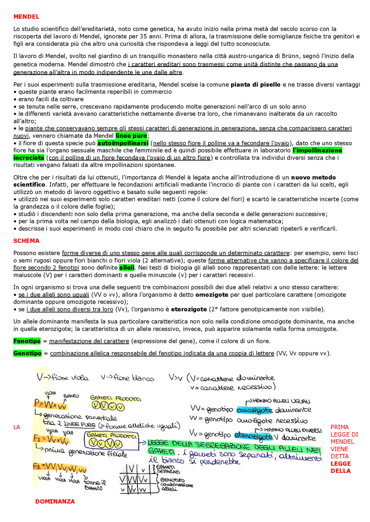Mendel Introduzione Leggi E Risvolti Sullereditarietà Appunti Di