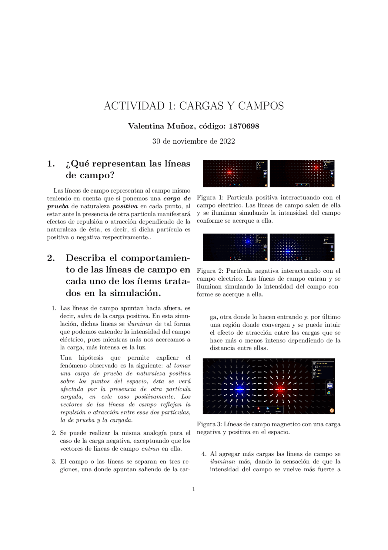 Campos Eléctricos: Comportamiento de las Líneas de Campo | Monografías, Ensayos de Física ...