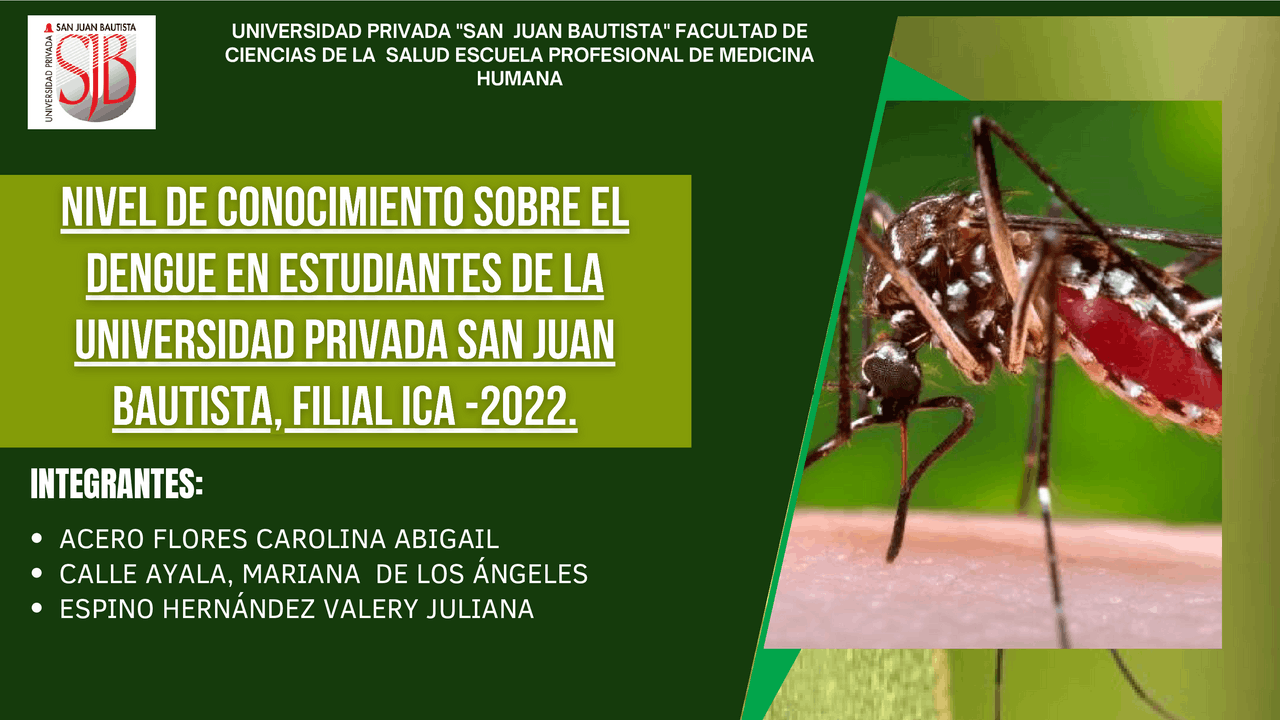 Hipotesis Electivo Docu Resúmenes De Didáctica General Docsity