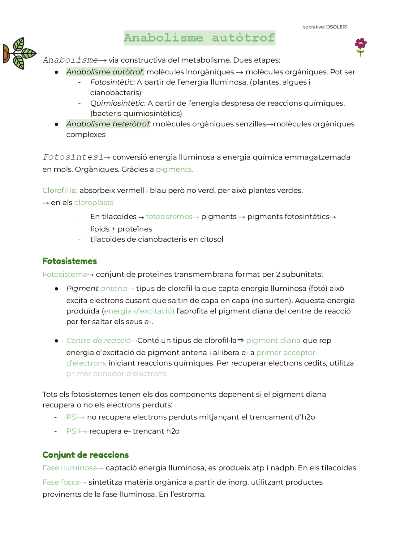 Resum Anabolisme Autótrof Apuntes De Biología Docsity