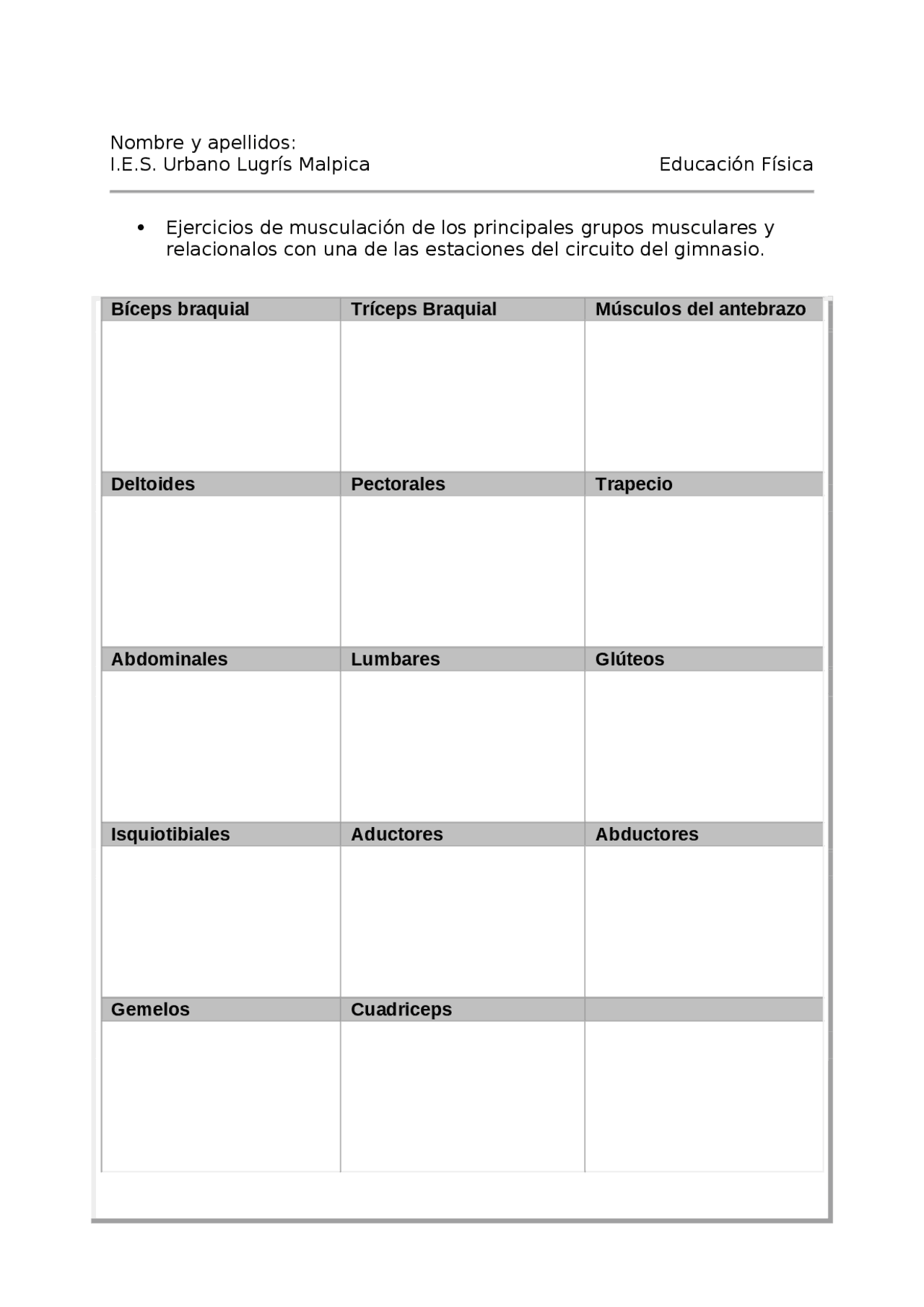 Ejercicios Para Los Músculos Apuntes De Educación Física Docsity