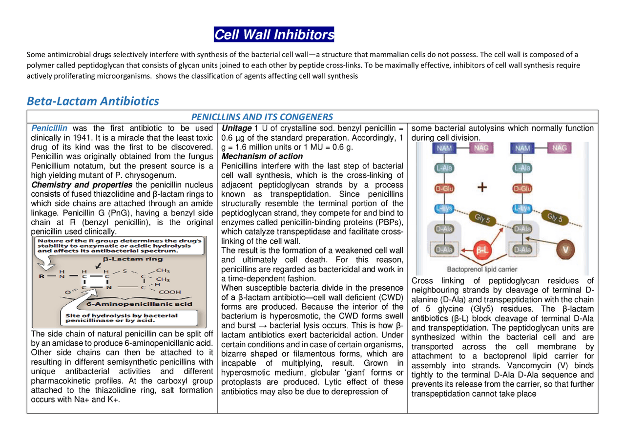 Antibiotics (CELL WALL INHIBITORS) | Study notes Pharmacology | Docsity