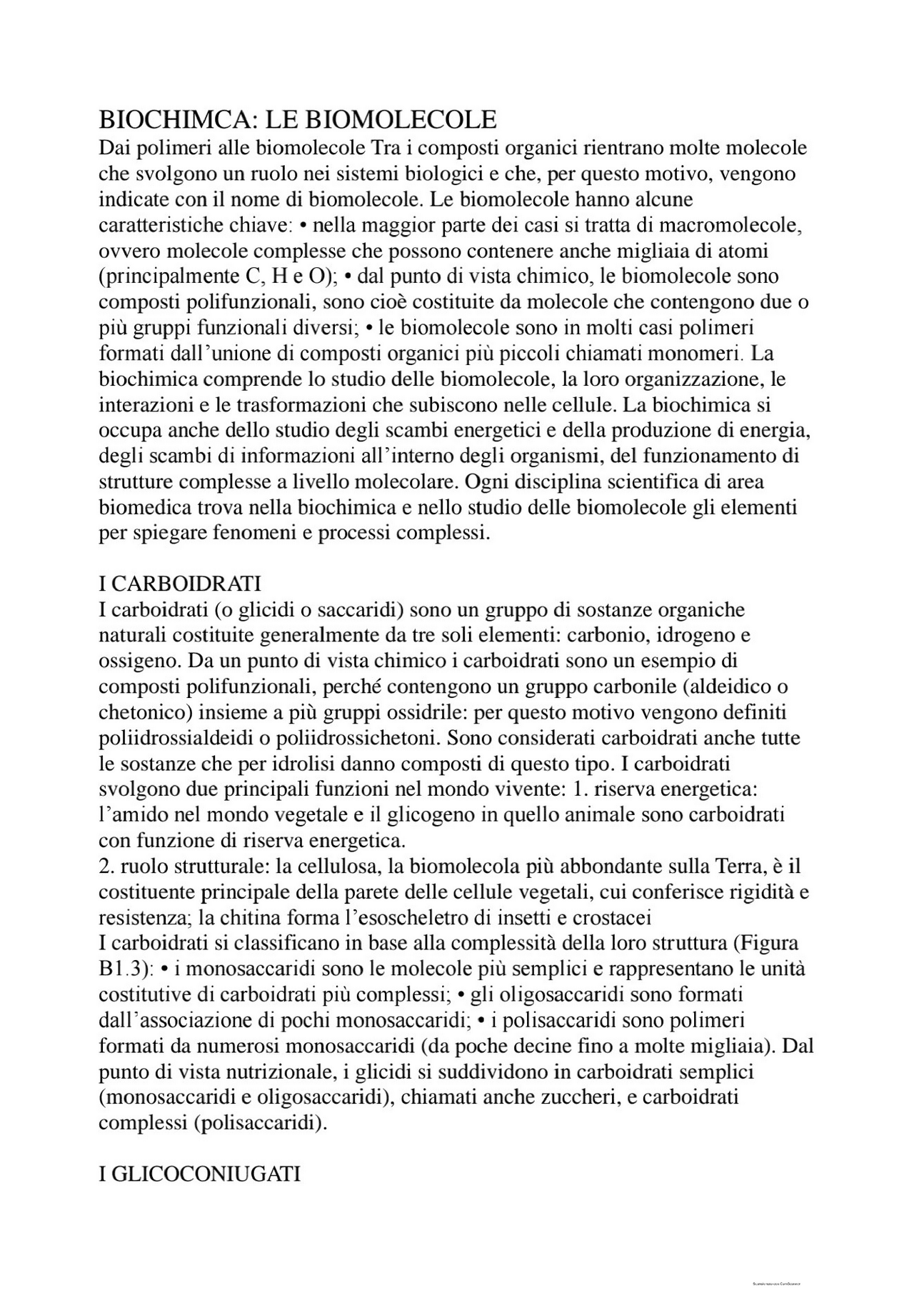Introduzione E Sintesi Delle Biomolecole Schemi E Mappe Concettuali
