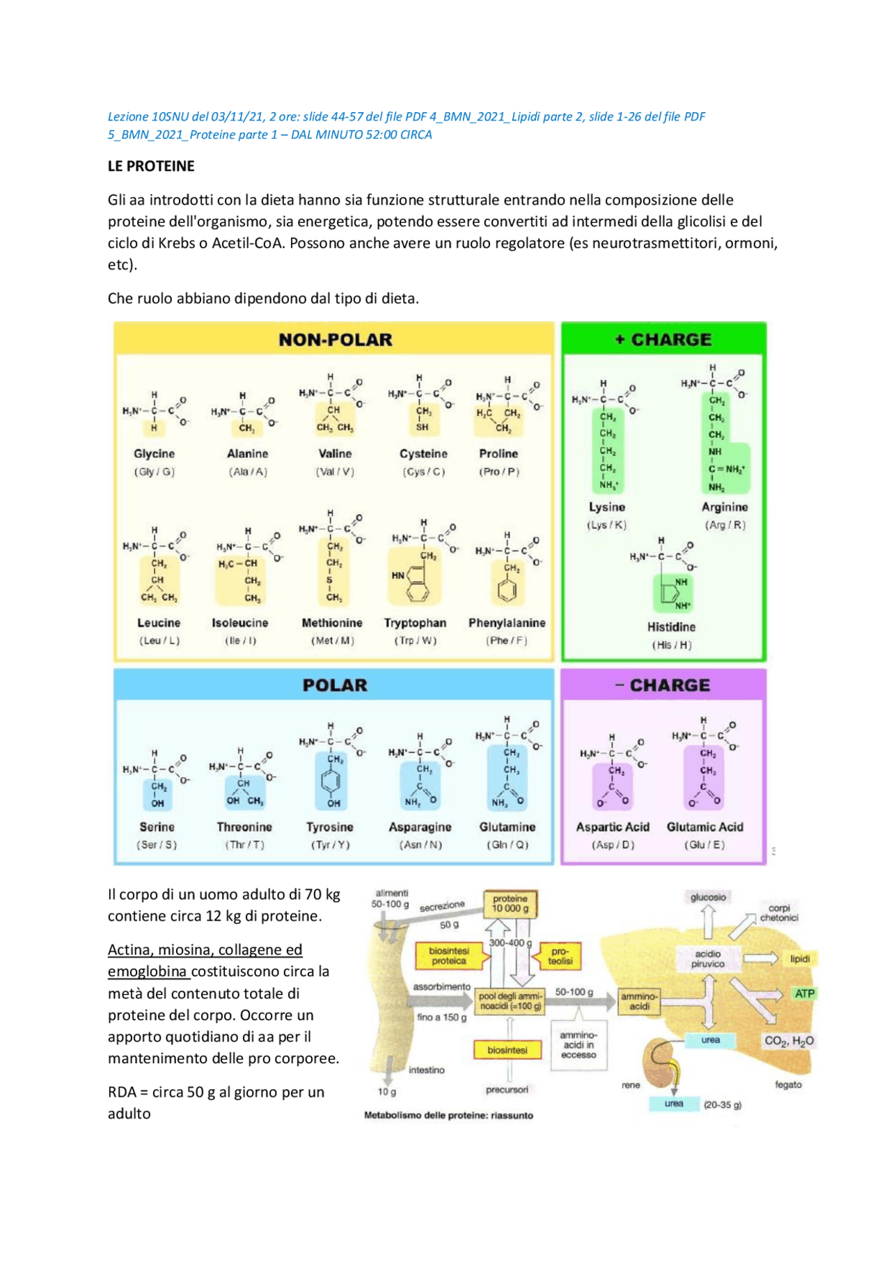 Riassunto Slide E Lezione Sulle Proteine Schemi E Mappe Concettuali