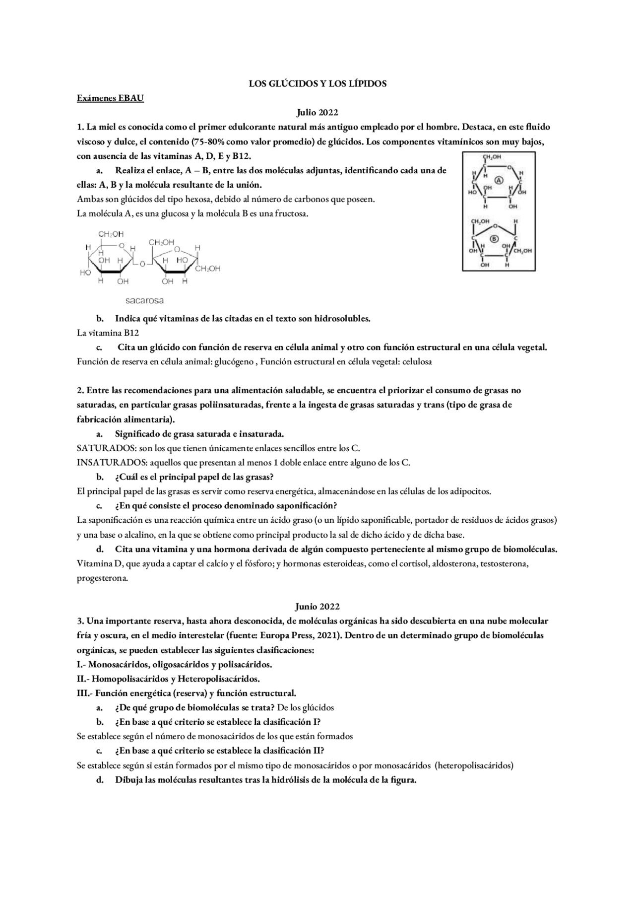 Examen Ebau Canarias Biología Exámenes Selectividad De Biología Docsity