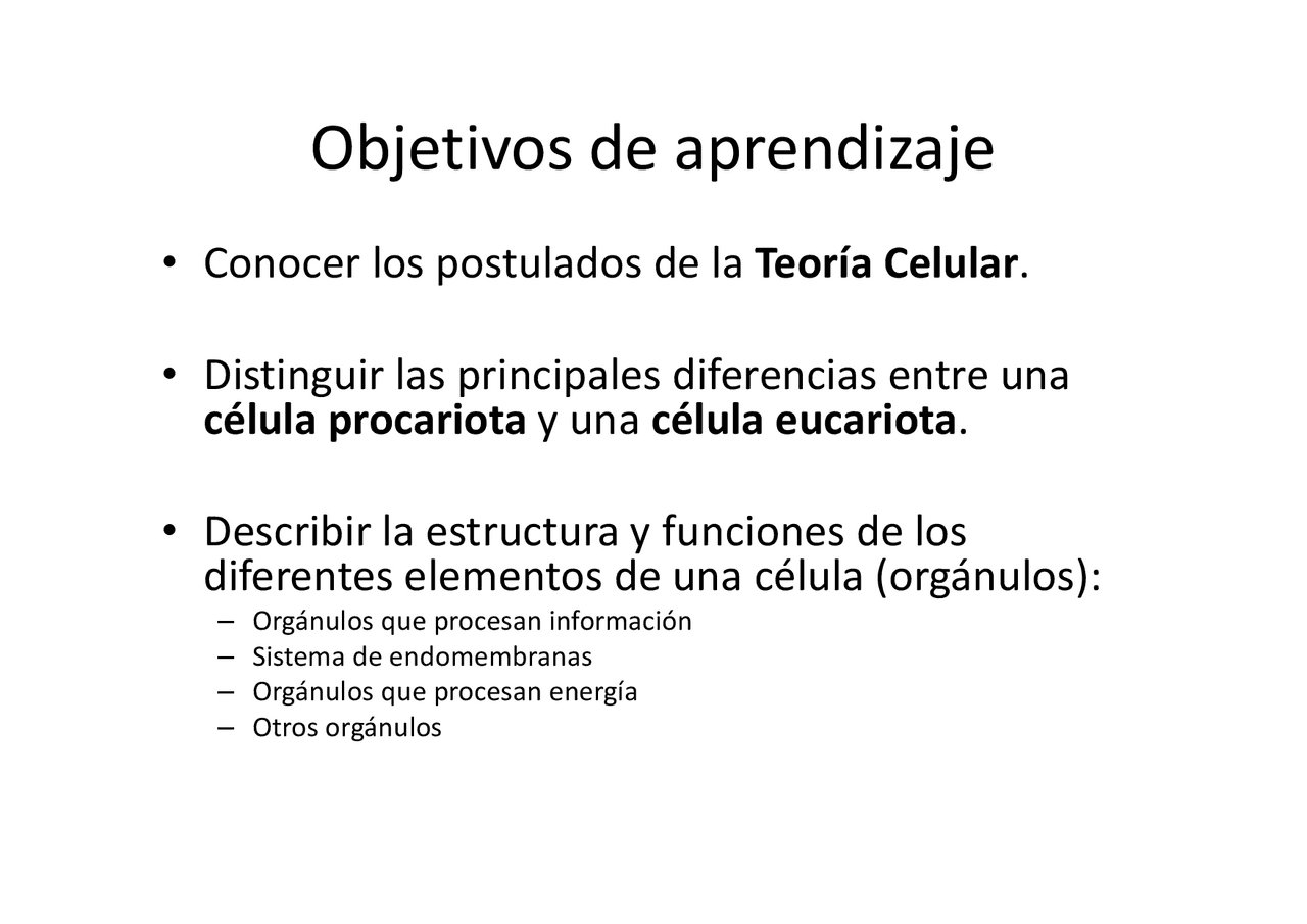 Organización Celular Apuntes De Biología Docsity