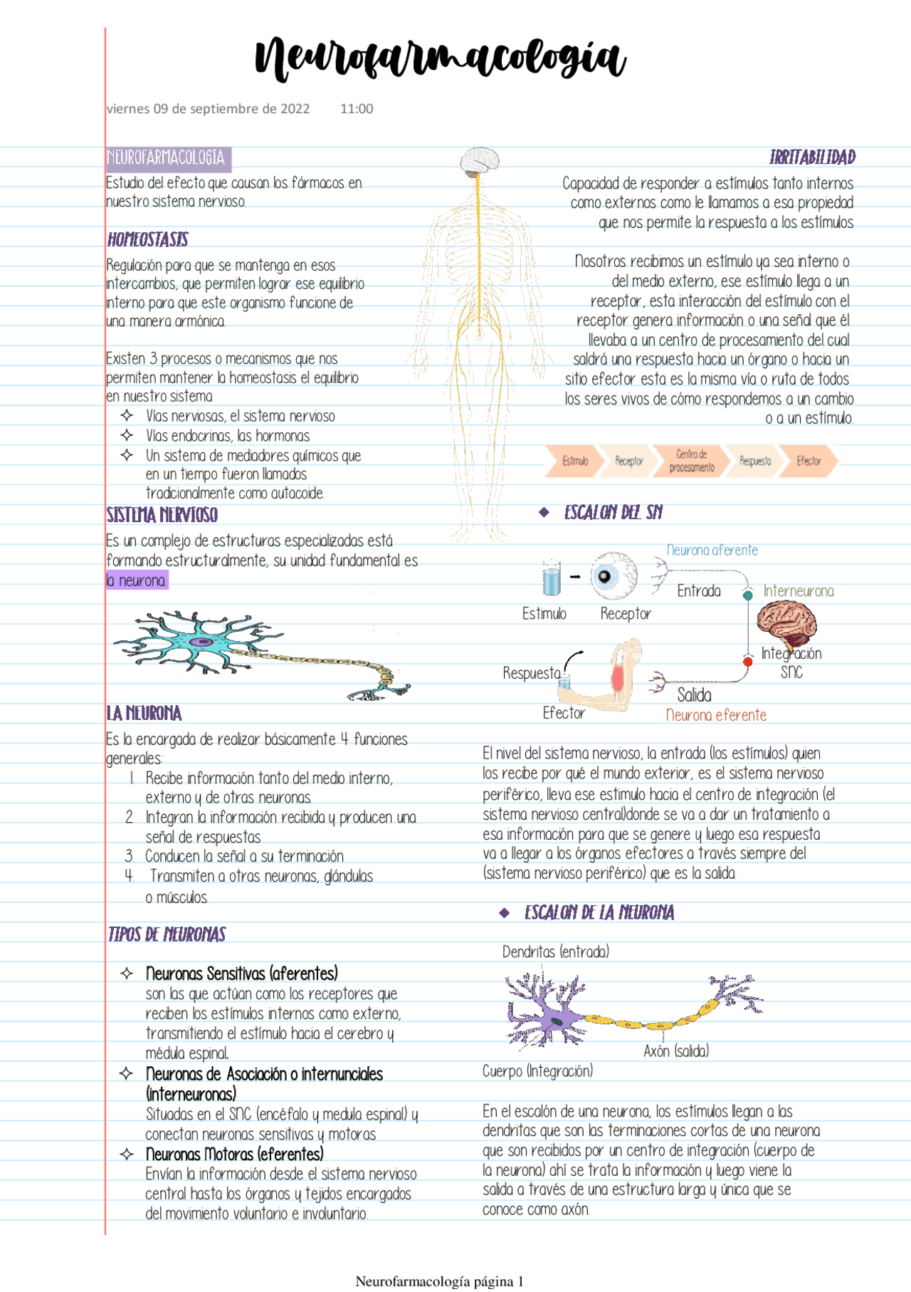 Neurofarmacología Goodman Y Gilman Resúmenes De Farmacología Docsity