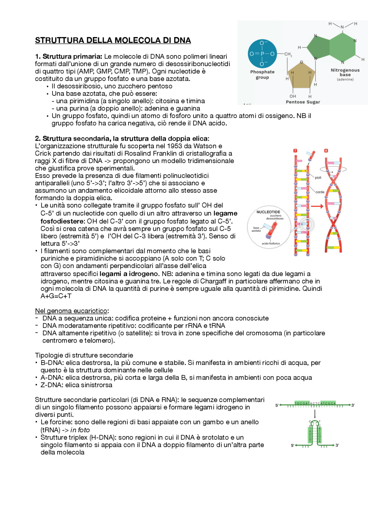 Sintesi completa di TUTTO sul DNA, TEST DI MEDICINA | Schemi e mappe ...