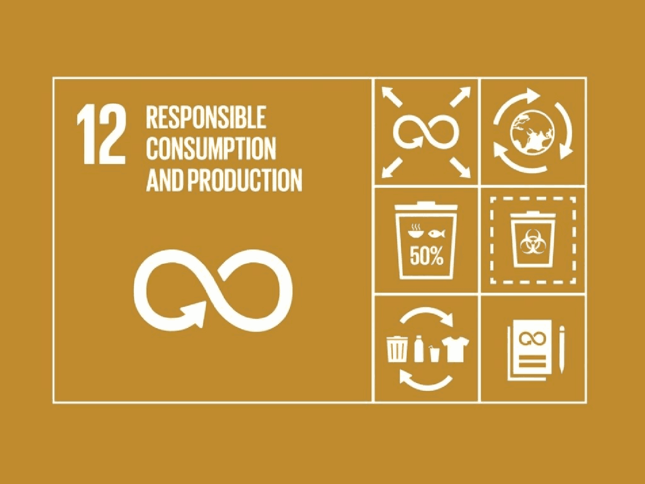 Responsible And Sustainable Consumption Slide Di Inglese Docsity