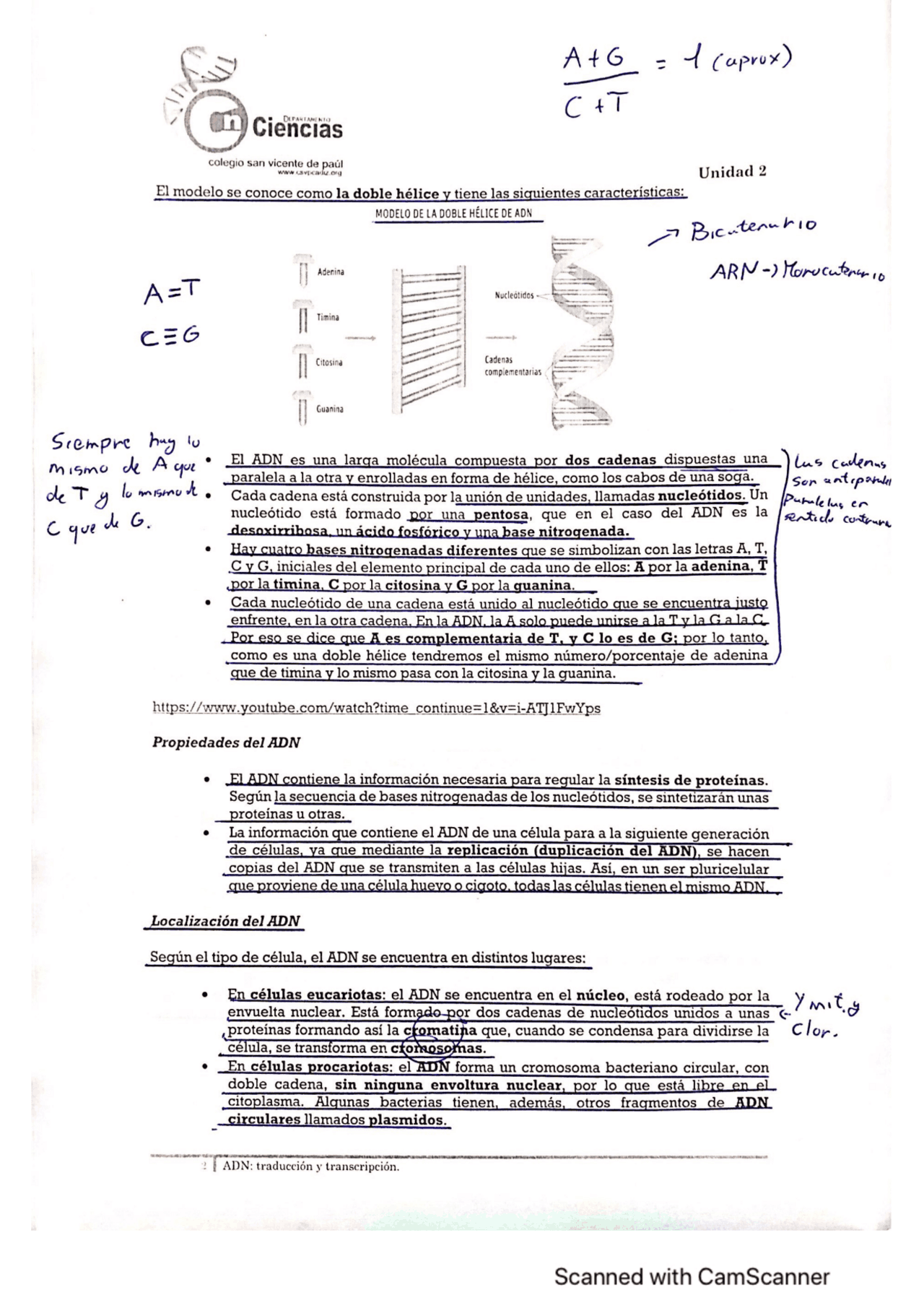 Apuntes Biología T 2 4ºeso Apuntes De Biología Docsity