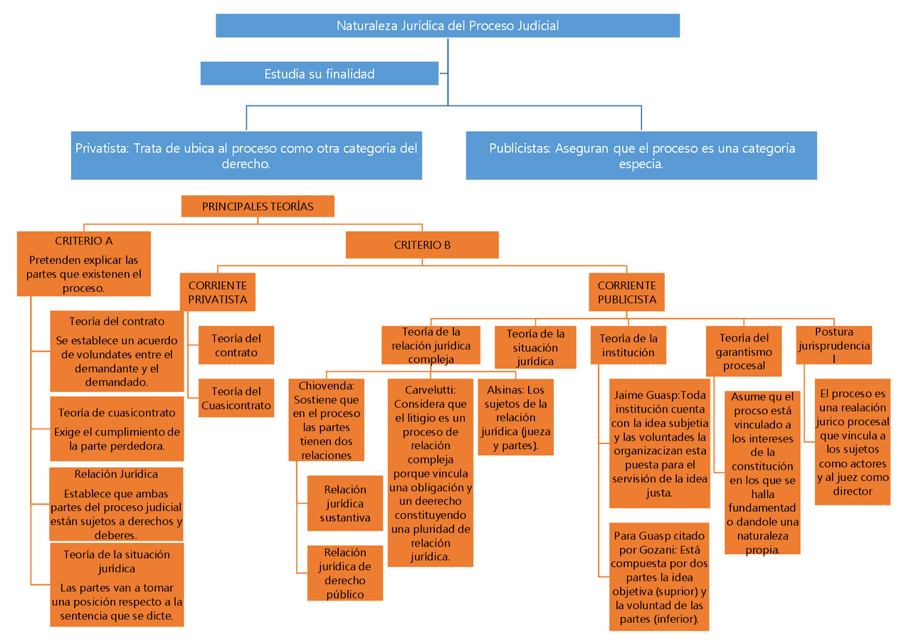Principios procesales | Esquemas y mapas conceptuales de Teoría del ...