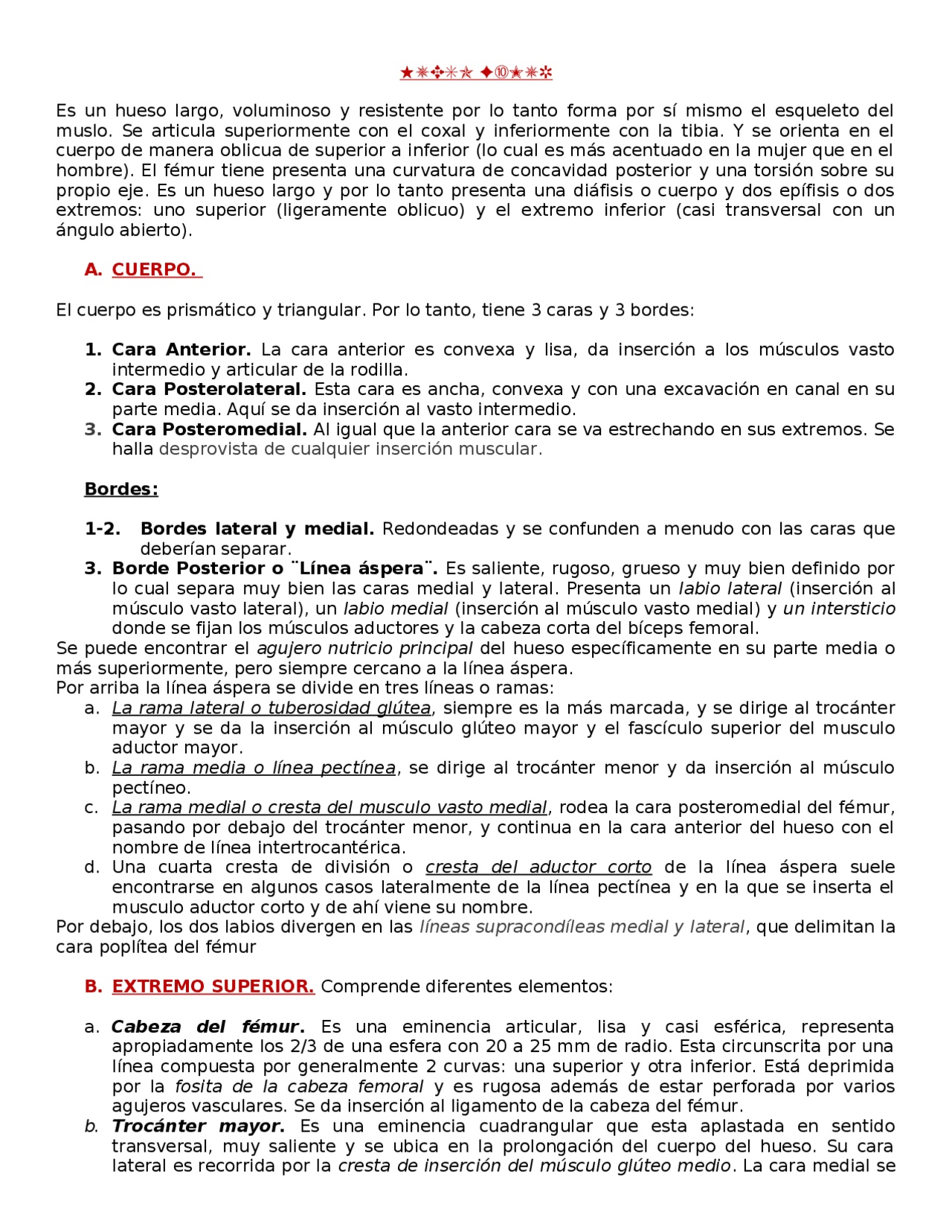 Anatomia Del Hueso Femur Resúmenes De Anatomía Docsity