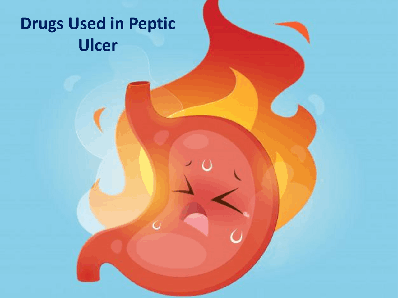 Drugs used in GIT disorders | Slides Pharmacology | Docsity