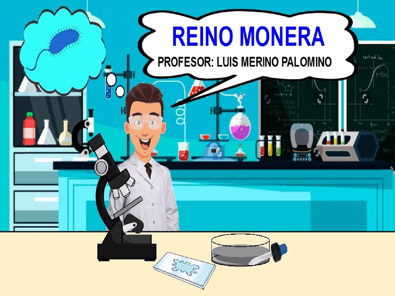 Reino Monera explicado muy detalladamente | Diapositivas de Biología ...