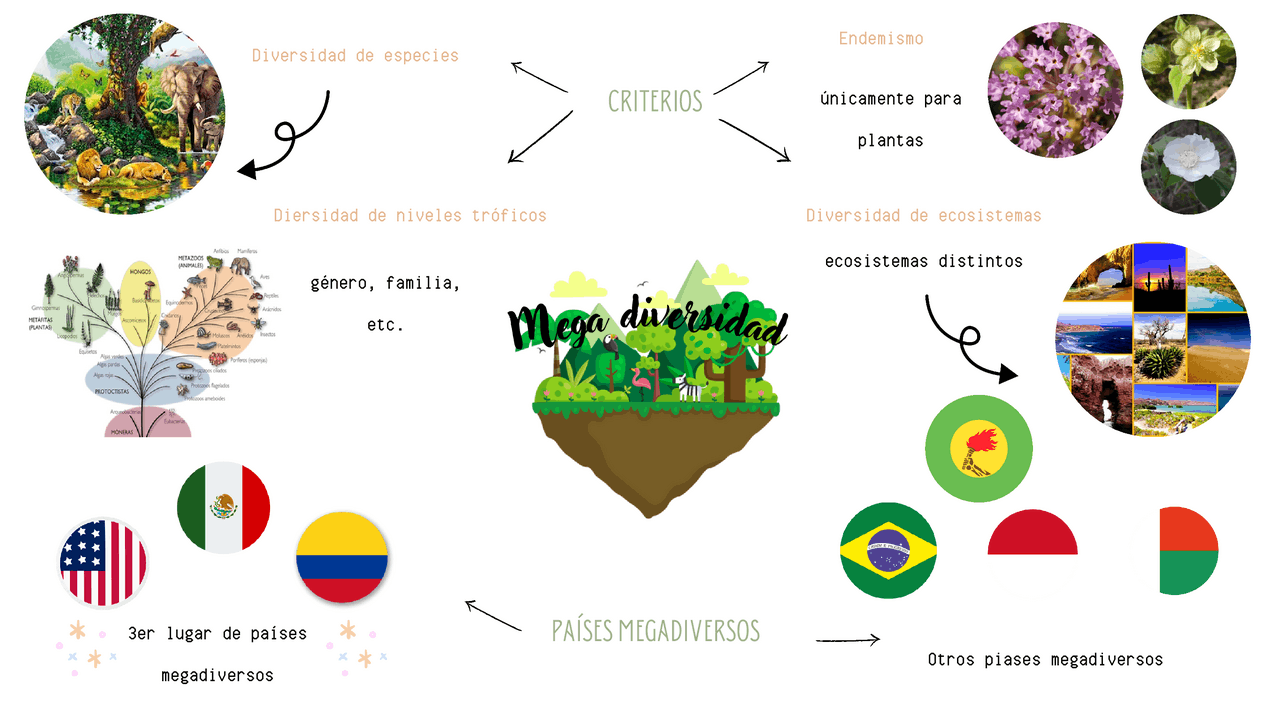 FACTORES DE LA MEGADIVERSIDAD | Esquemas y mapas conceptuales de ...