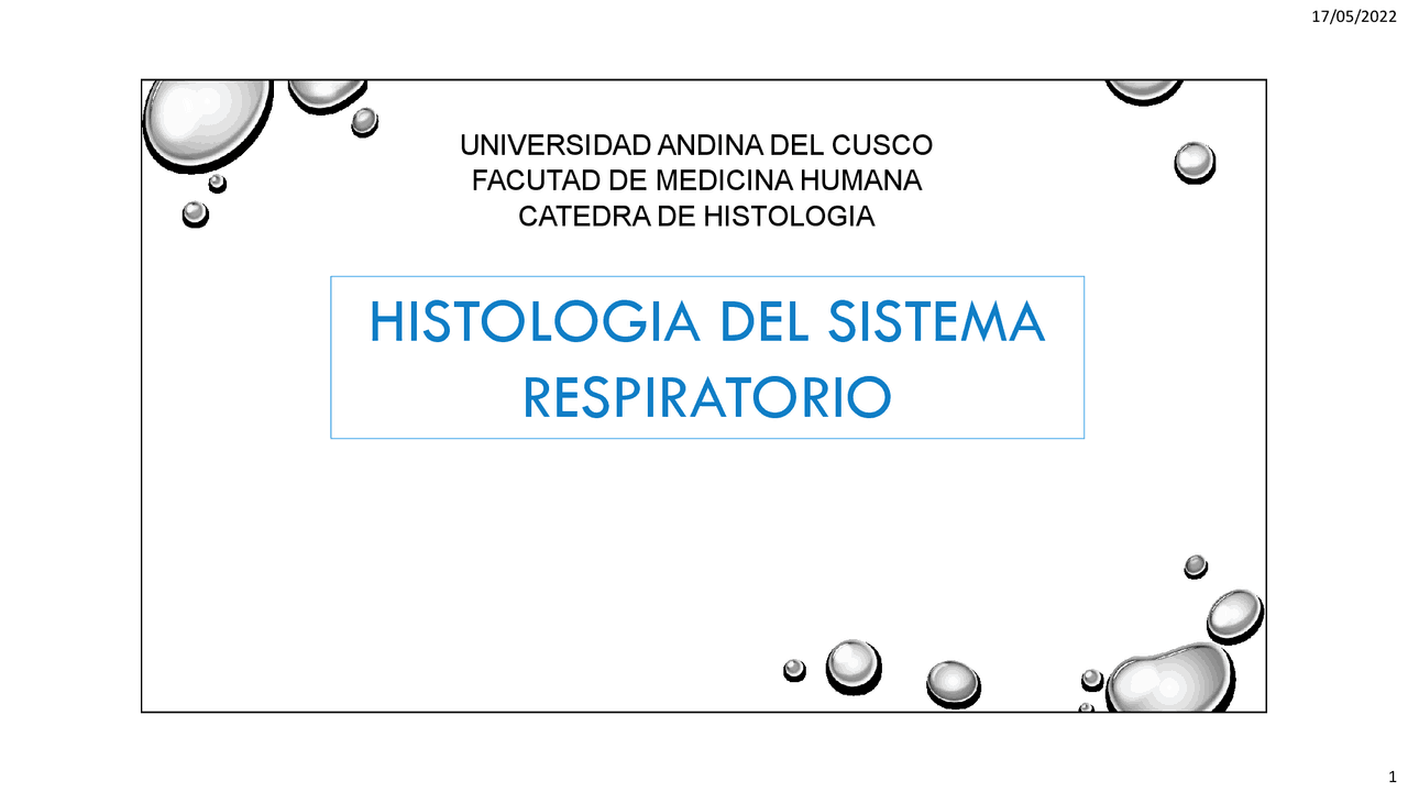 Sistema Respiratorio Diapositivas De Histología Docsity