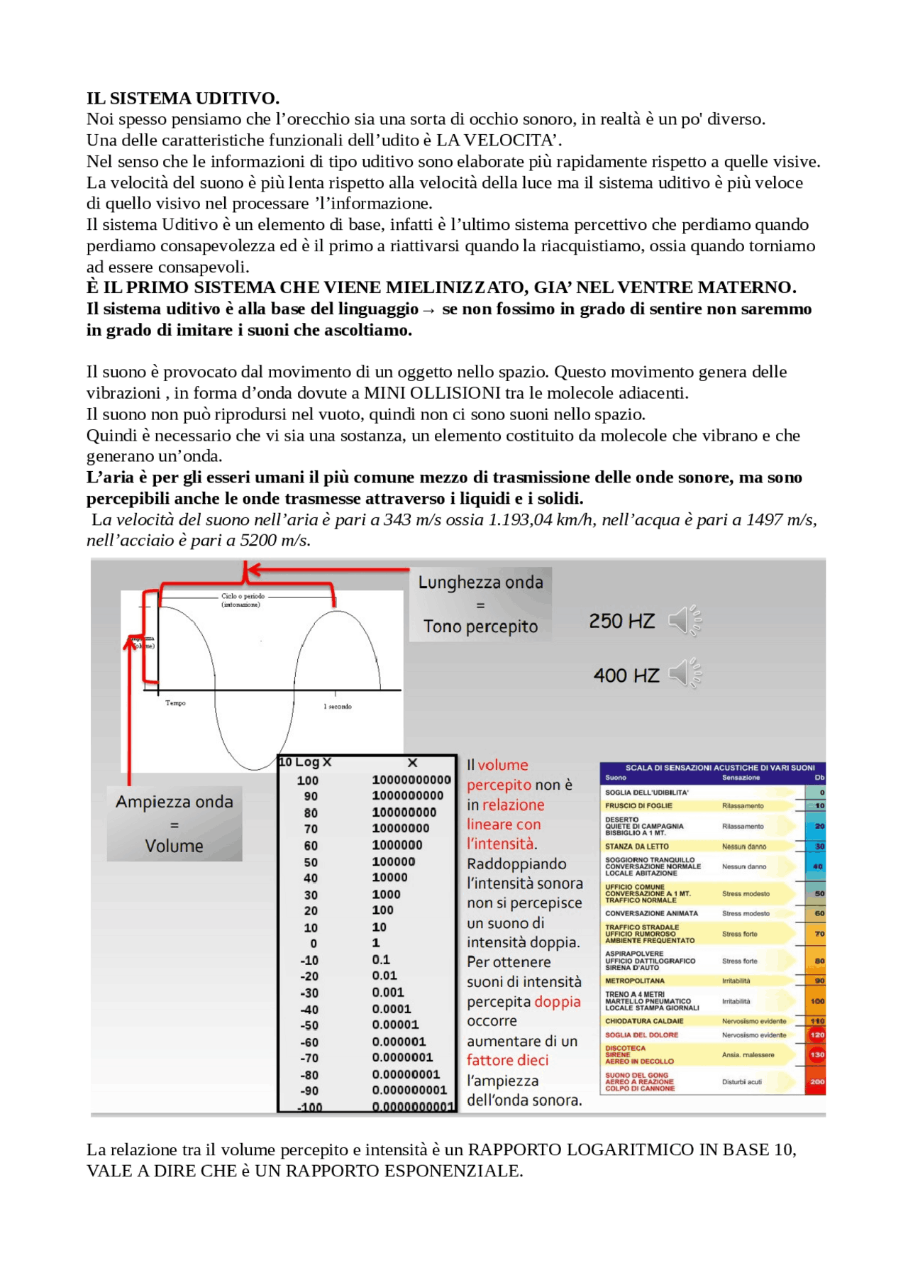 Sistema uditivo completo | Appunti di Fondamenti Anatomo-fisiologici ...