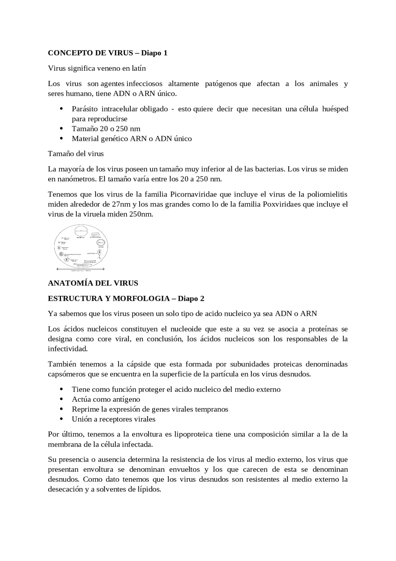 Apuntes Conceptos De Virus Apuntes De Virología Docsity