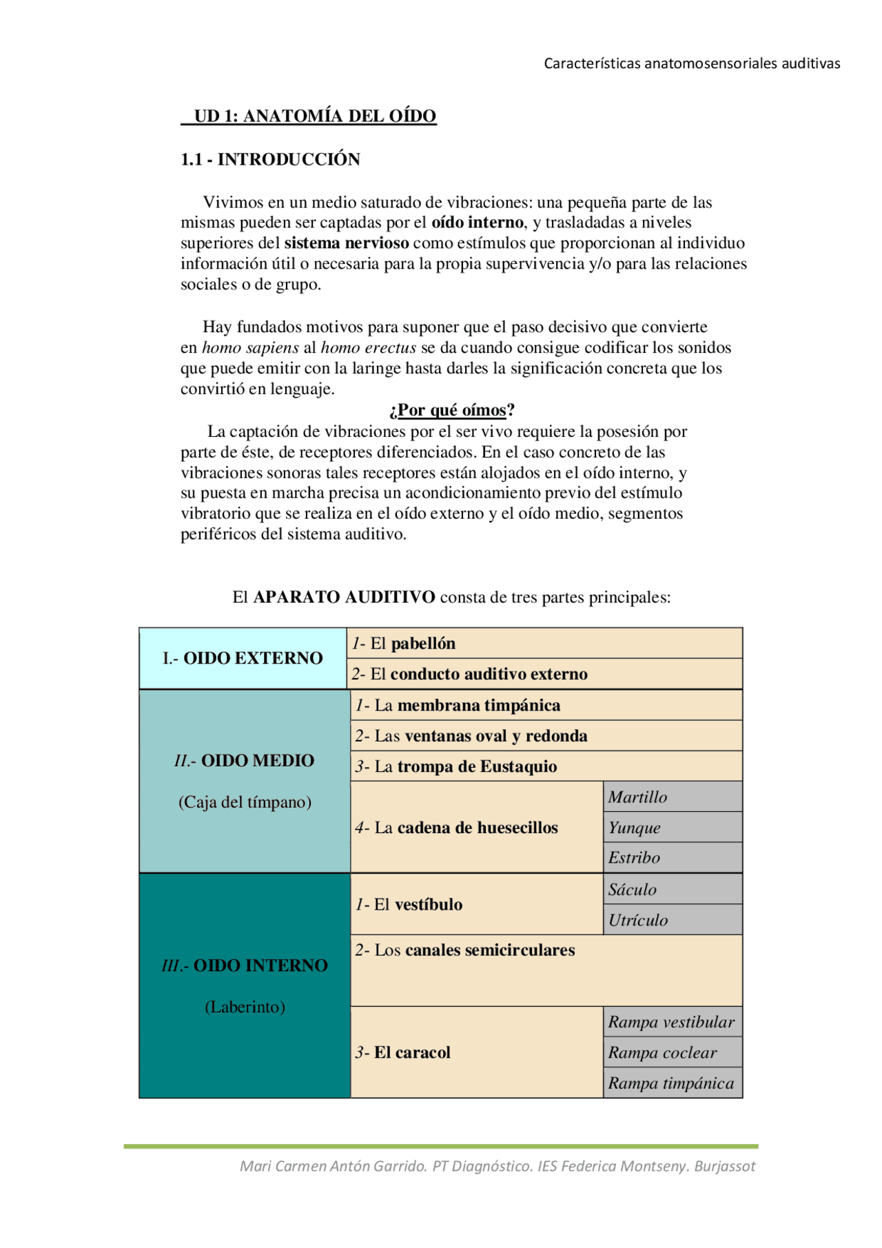 Anatomía Del Oído Externo Y Medio Apuntes De Anatomía Aplicada Docsity