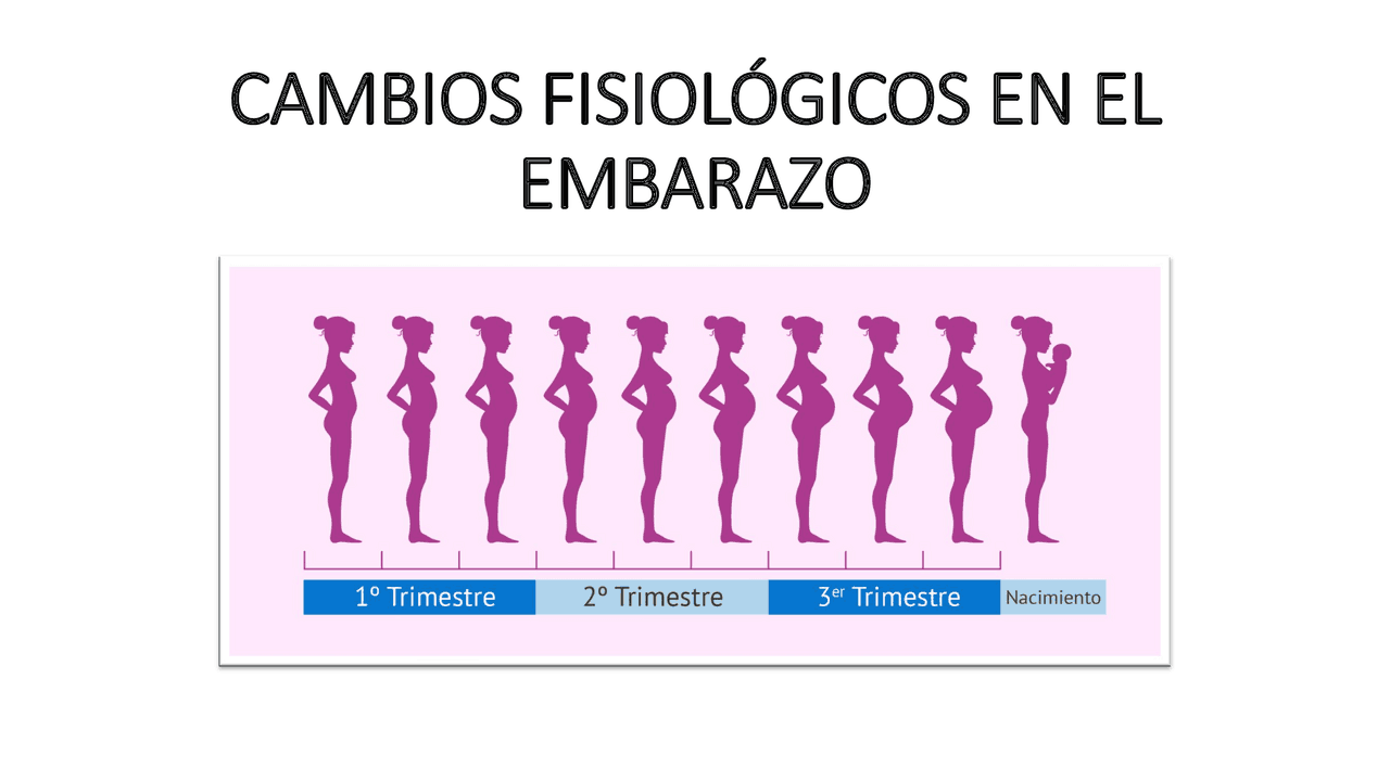 Cambios Fisiológicos en el Embarazo: Modificaciones en el Cuerpo Materno | Esquemas y mapas ...