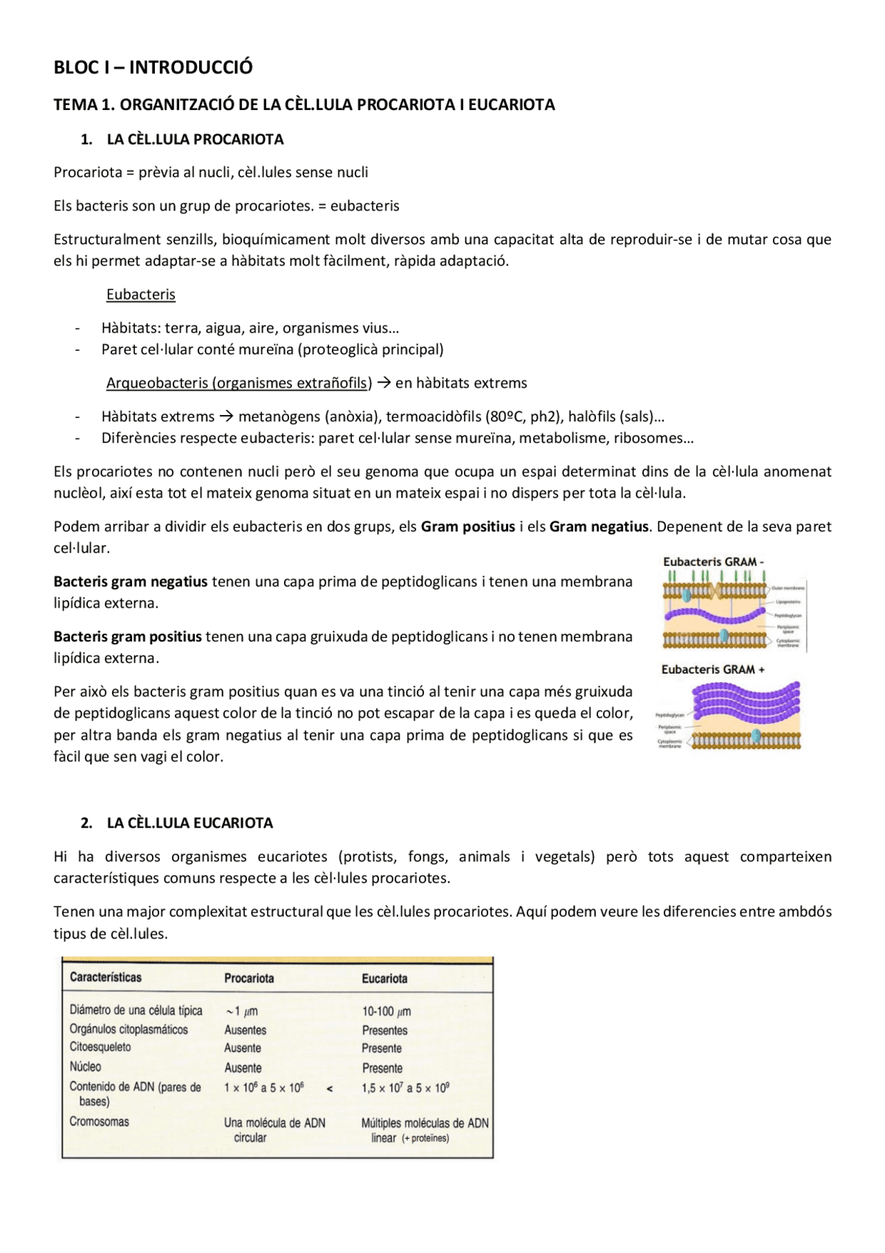 Bloc I Ii Biocel 2022 Apuntes De Biología Celular Docsity