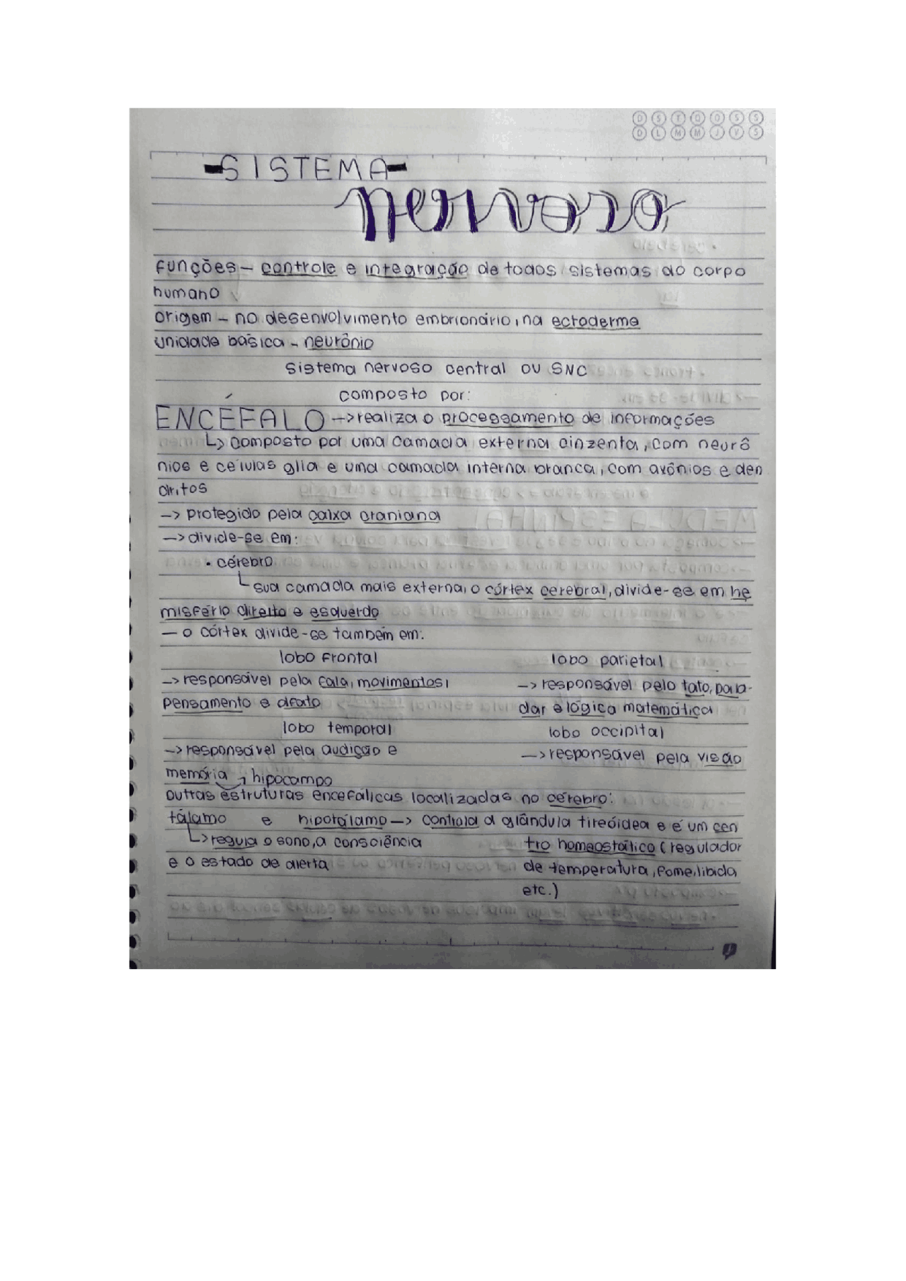 SISTEMA NERVOSO- COMPREENDENDO A TRANSMISSÃO DE INFORMAÇÕES | Resumos ...