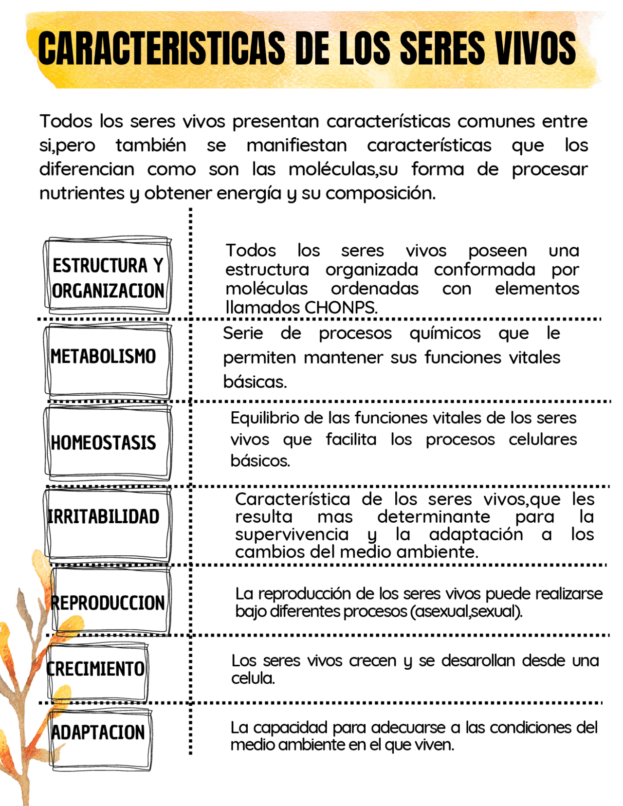Las características que tienen los seres vivos en común al ambiente en ...