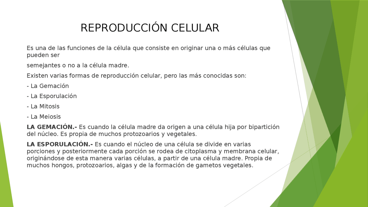 4 Formas Reproducción Celular Diapositivas De Biología Docsity