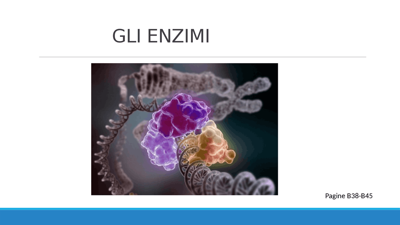 Gli Enzimi Power Point Schemi E Mappe Concettuali Di Chimica Organica