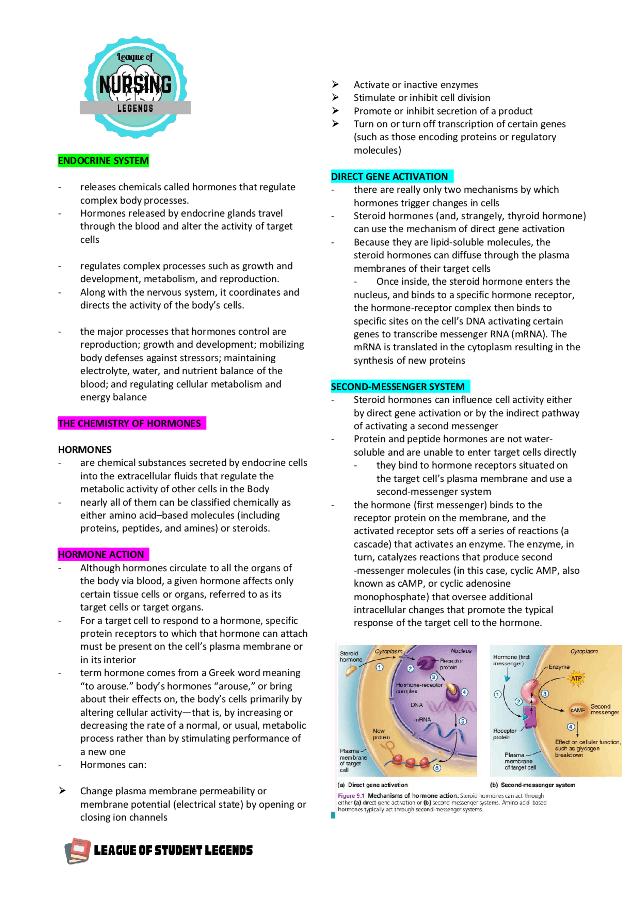 Anatomy And Physiology Lecture Notes Nursing Docsity