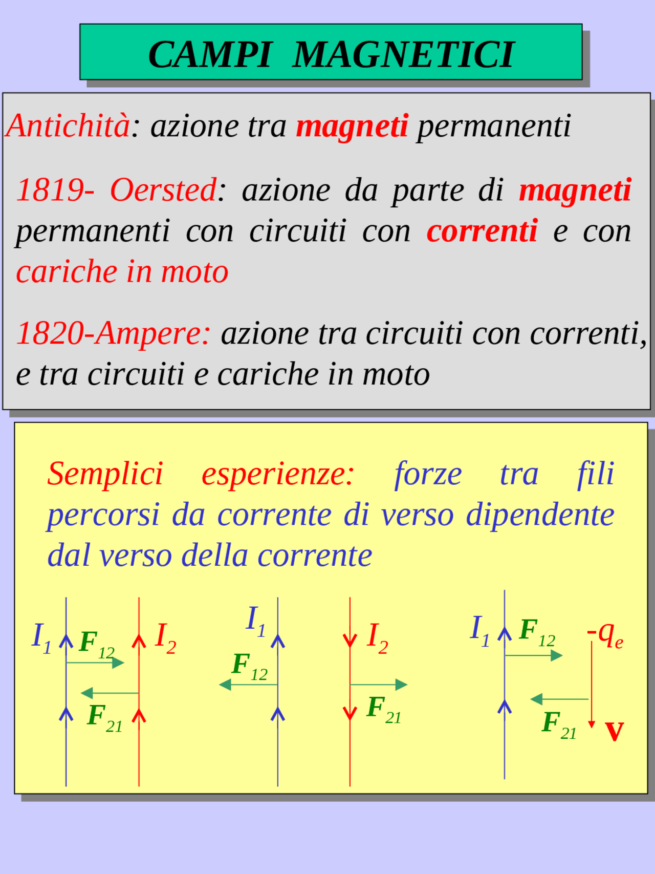 Campi Magnetici: Proprietà e Leggi | Schemi e mappe concettuali di Fisica | Docsity