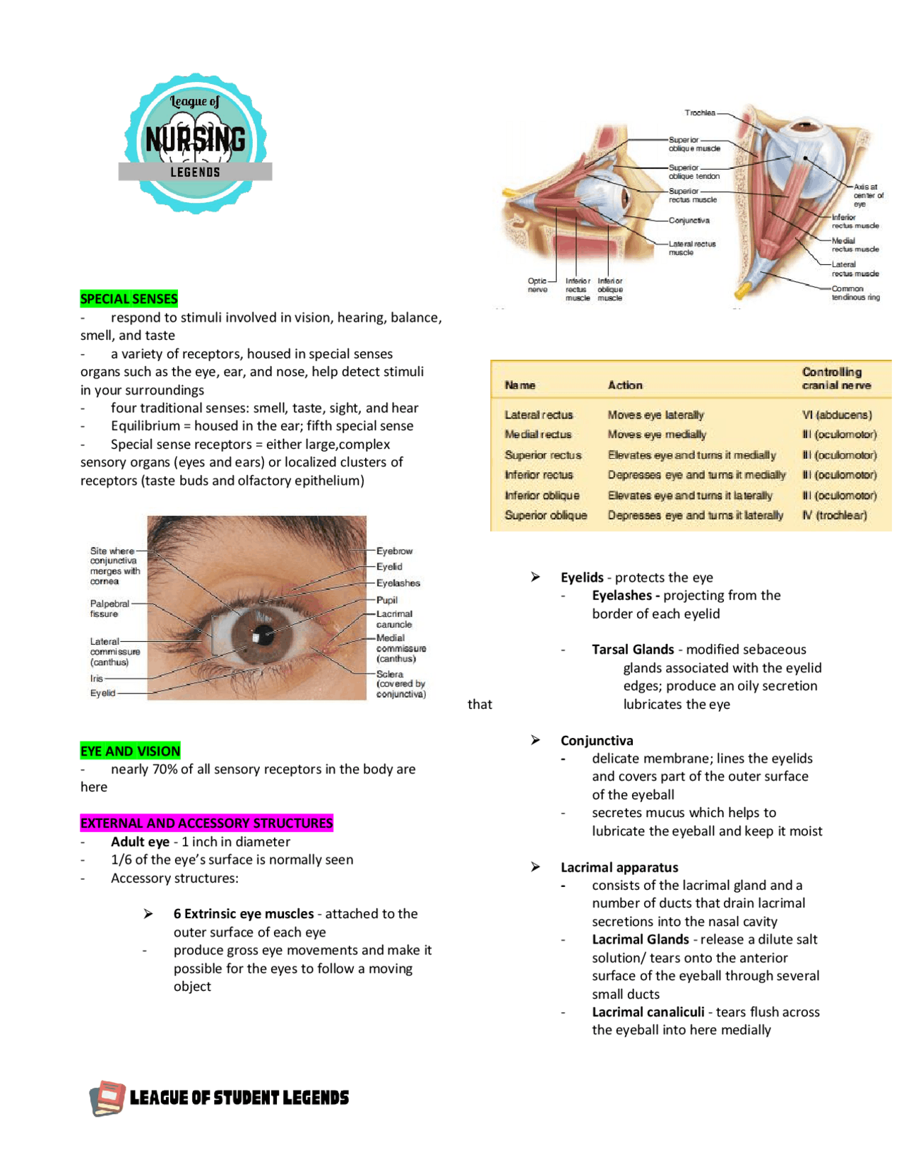 ANATOMY AND PHYSIOLOGY CHAPTER 10,11,12,13,15 | Lecture notes Nursing ...