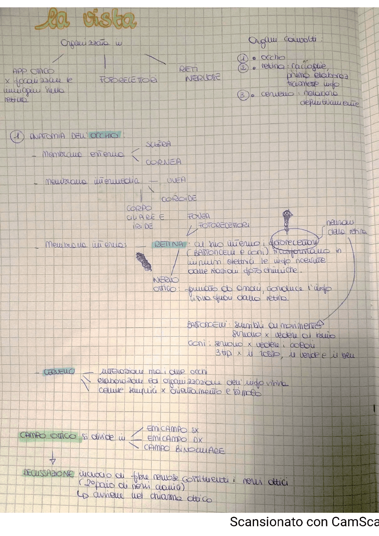Schemi Esame Neuropsicologia Appunti Di Neuropsicologia Docsity