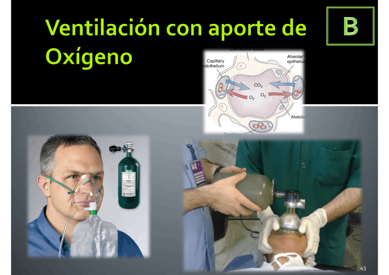 Abc del trauma letras b y c | Apuntes de Medicina | Docsity
