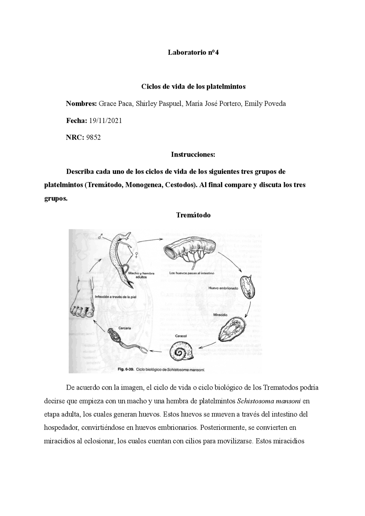 Laboratorio De Biología Apuntes De Biología Docsity