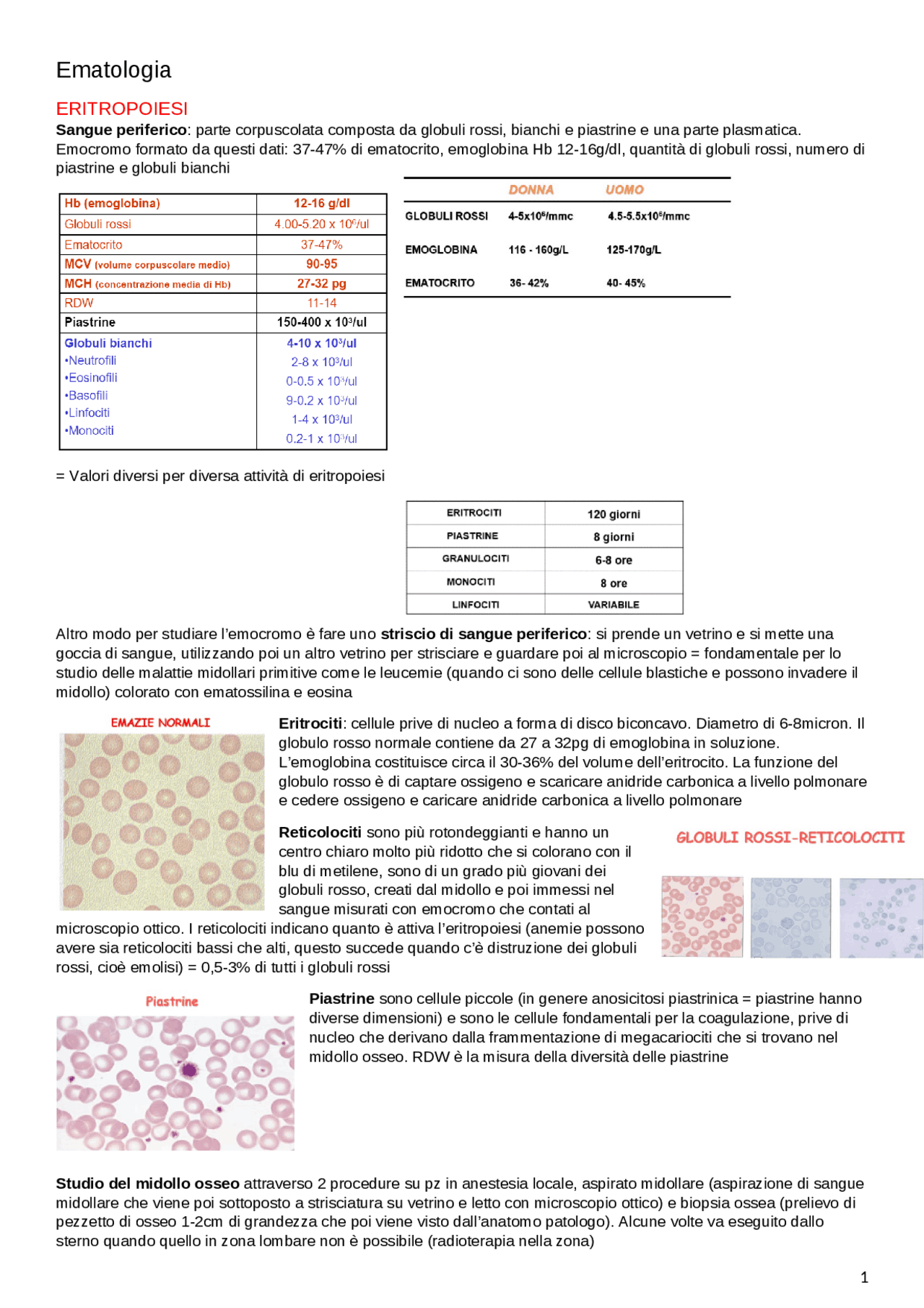 Ematologia Università Di Udine Sbobinature Di Oncologia Docsity