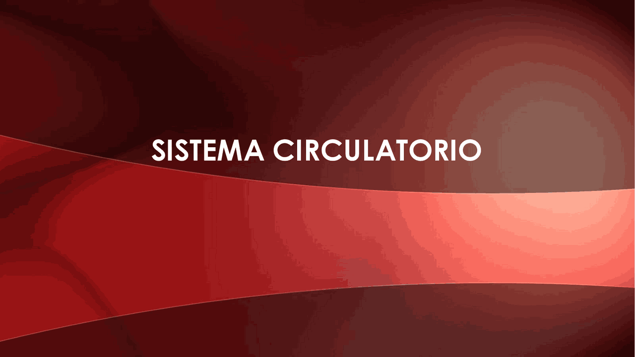 Sistema Circulatorio Diapositivas De Medicina Interna Docsity