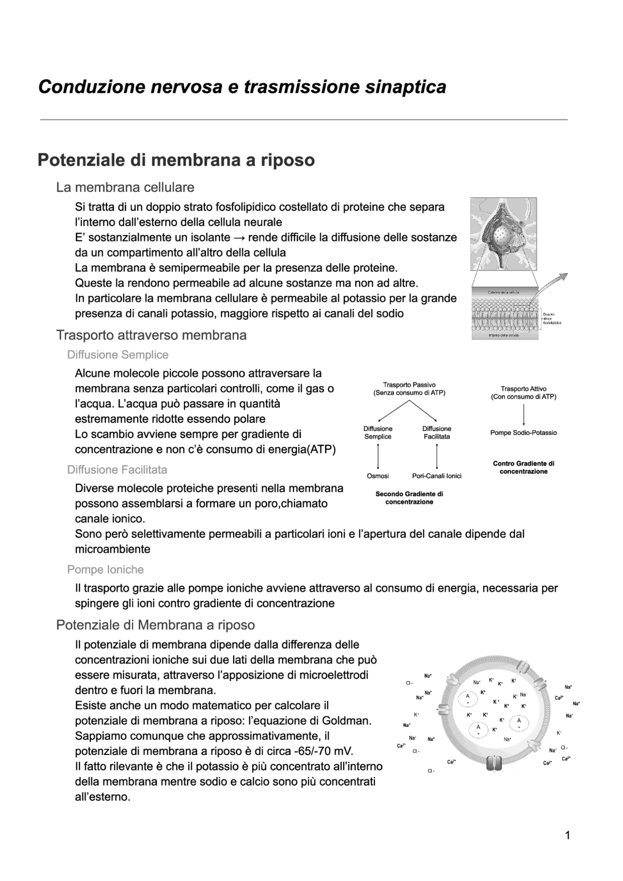 Cap 4 Conduzione nervosa e trasmissione sinaptica | Sintesi del corso ...